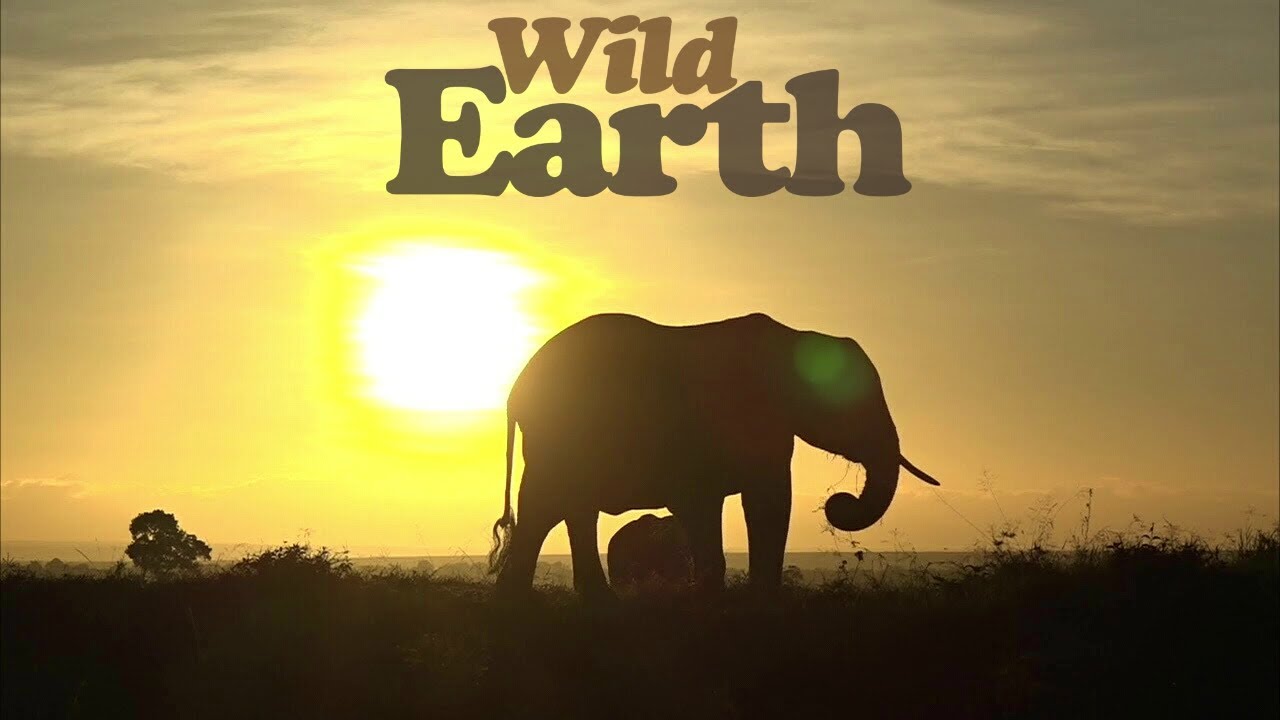 Wild Earth - Africa Wallpapers - Wallpaper Cave