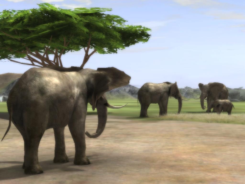 Wild Earth - Africa Wallpapers - Wallpaper Cave