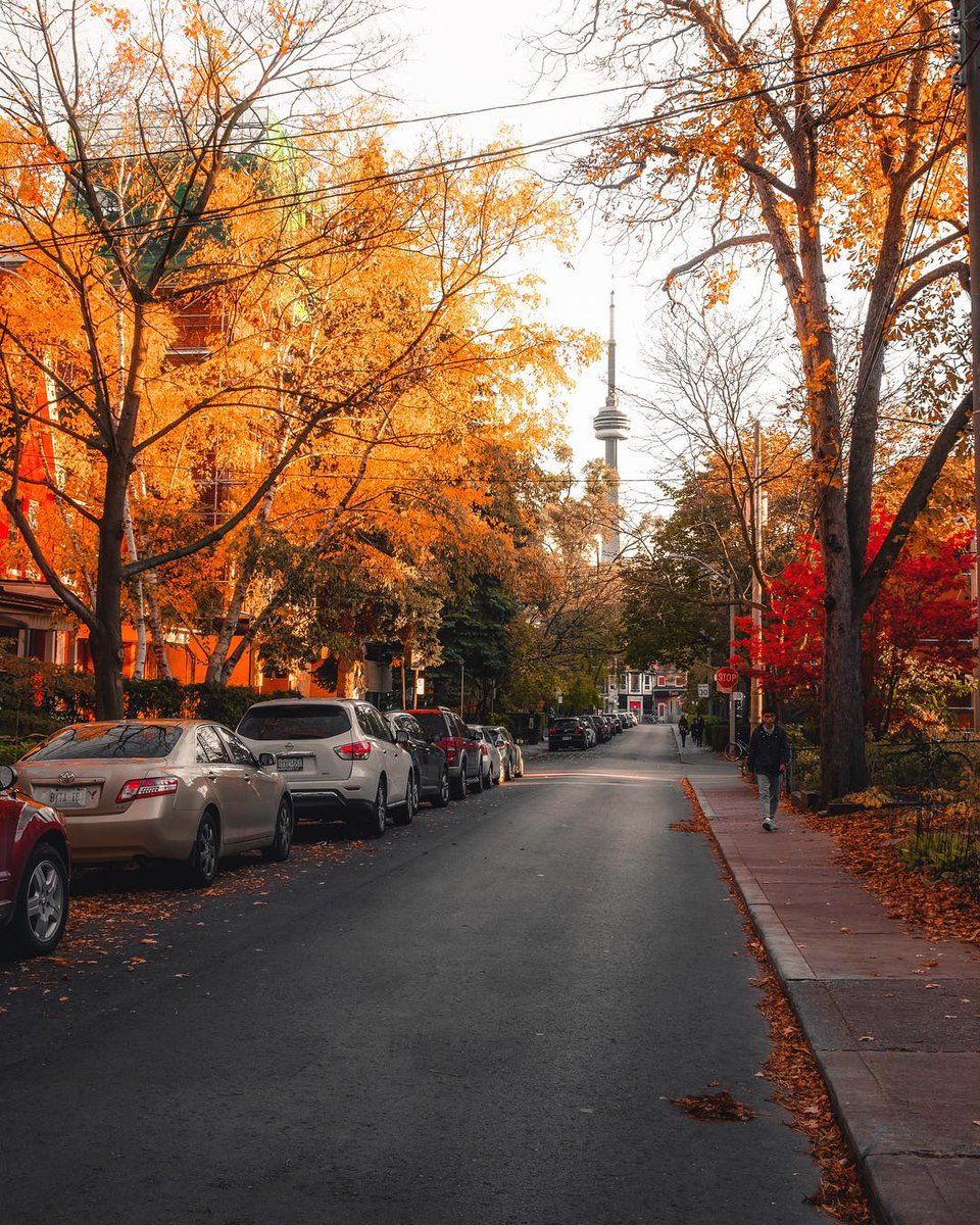 Toronto Autumn Wallpapers - Wallpaper Cave