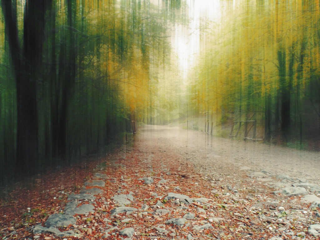 Blurred Autumn Wallpapers - Wallpaper Cave