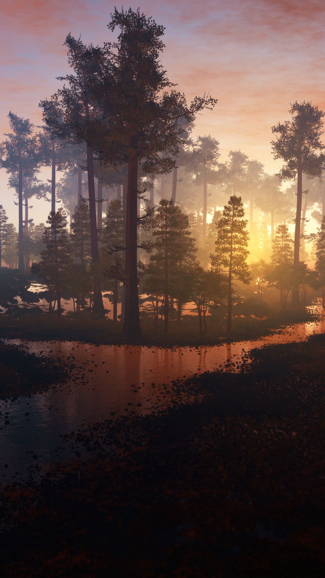 Pretty Forest Wallpapers - Wallpaper Cave