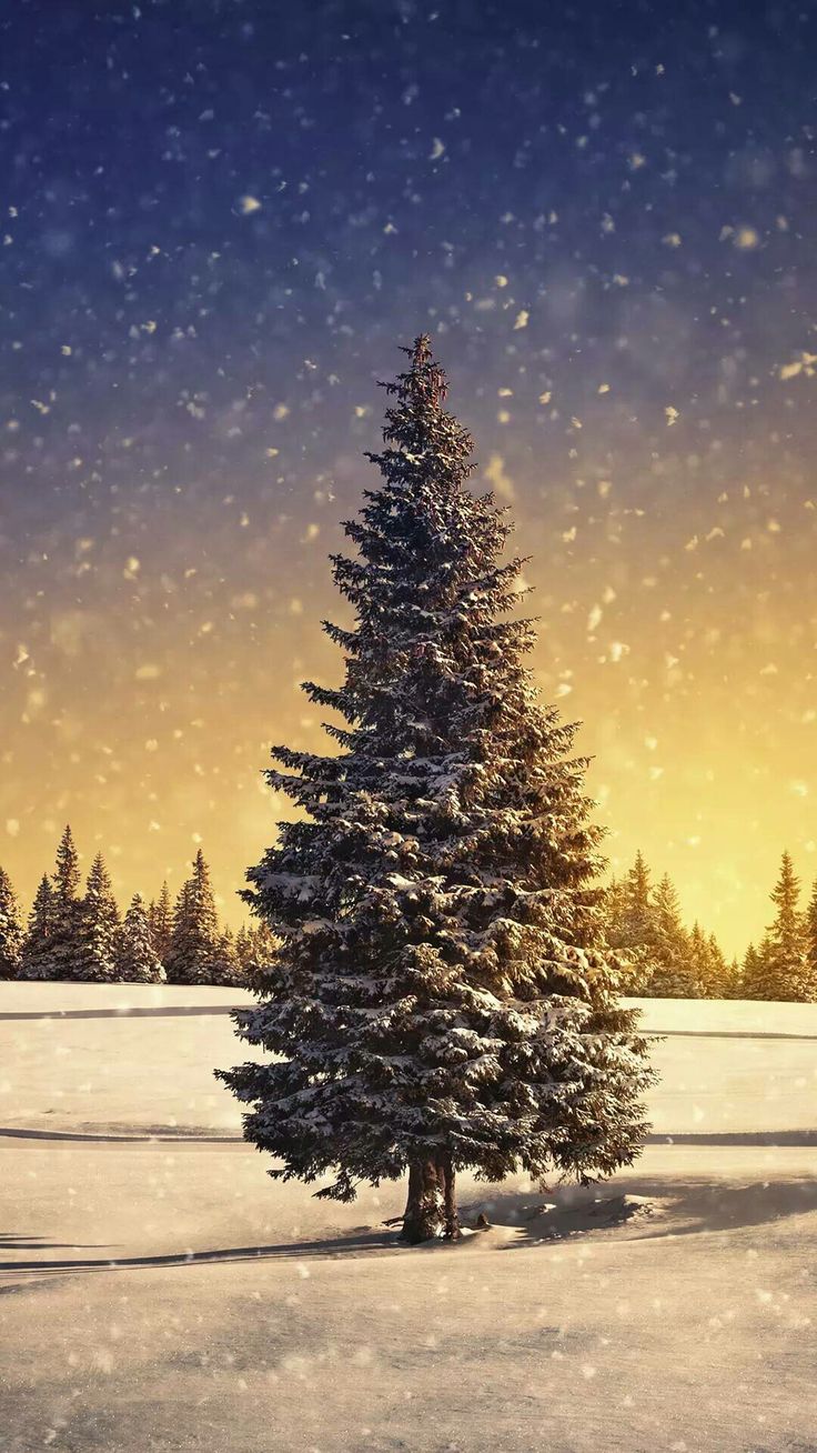 Aesthetic Christmas Tree Landscape Wallpapers - Wallpaper Cave