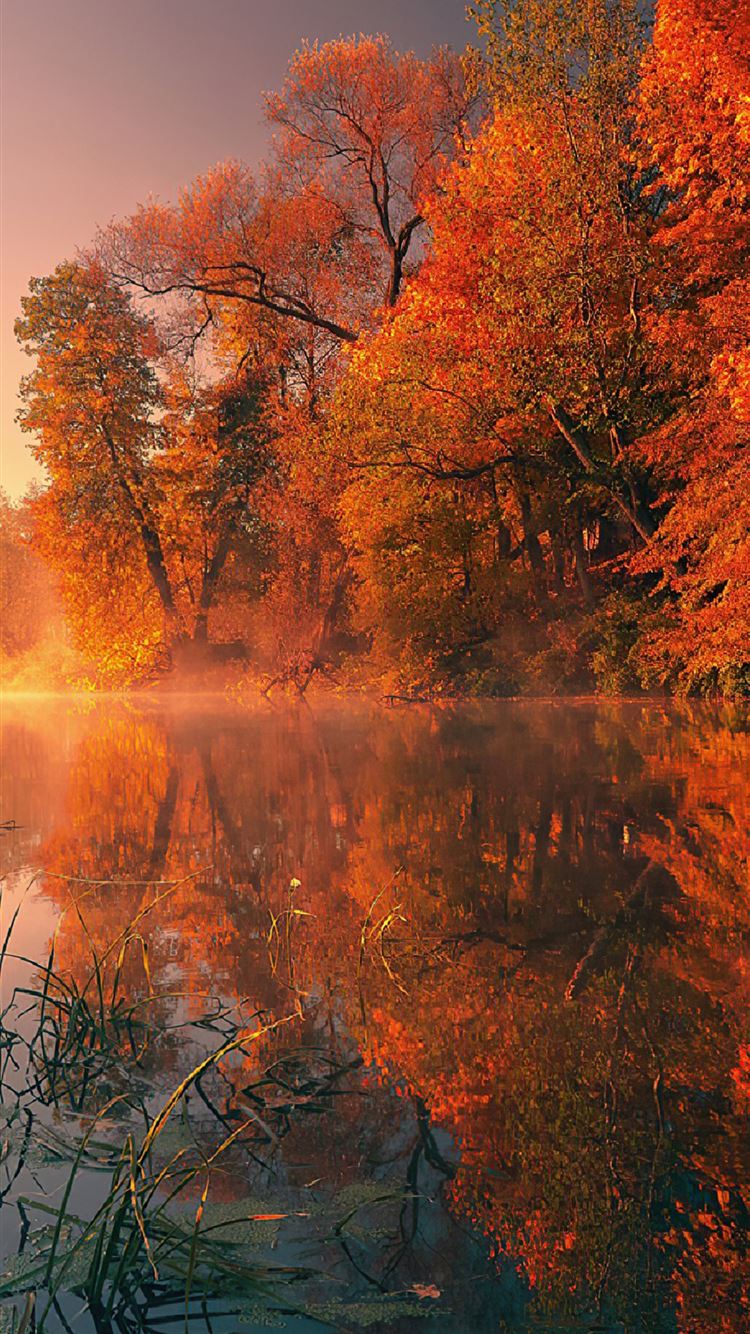 Colorful Autumn Reflections Wallpapers - Wallpaper Cave