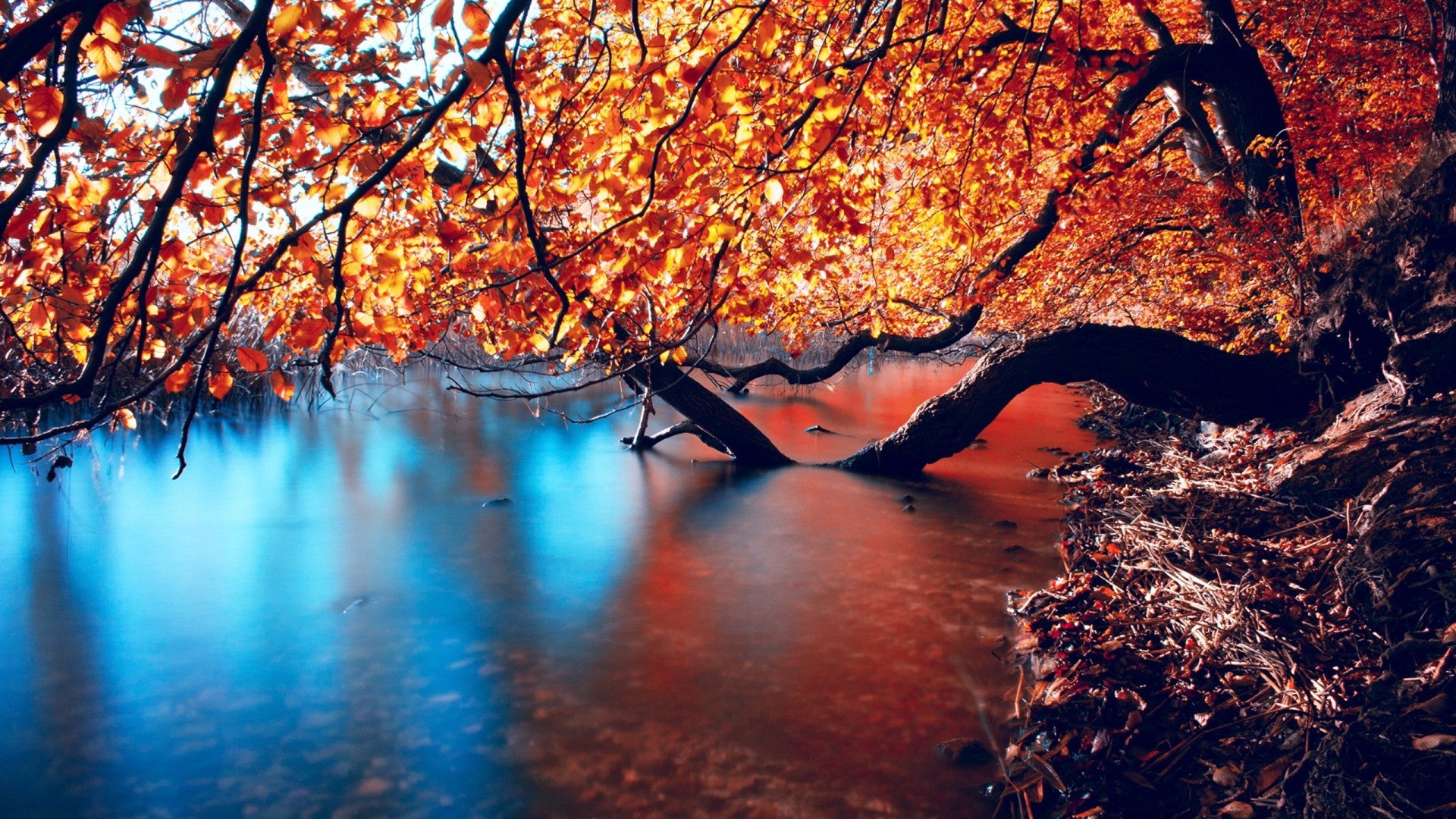 Colorful Autumn Reflections Wallpapers - Wallpaper Cave