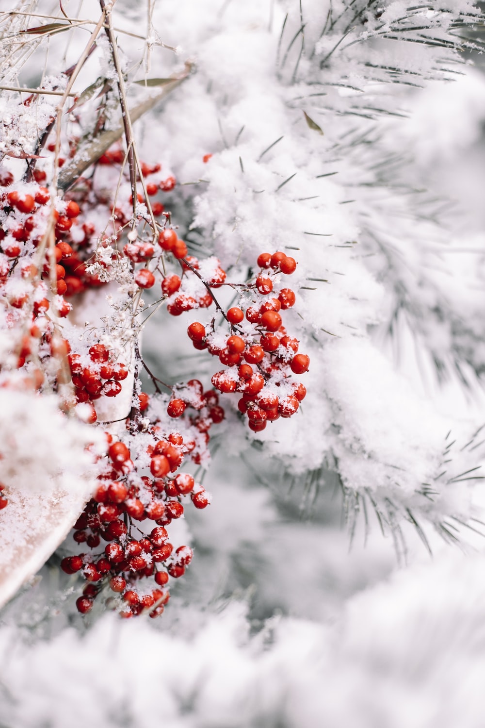 Christmas Snowy Outdoor Scenes Wallpapers - Wallpaper Cave