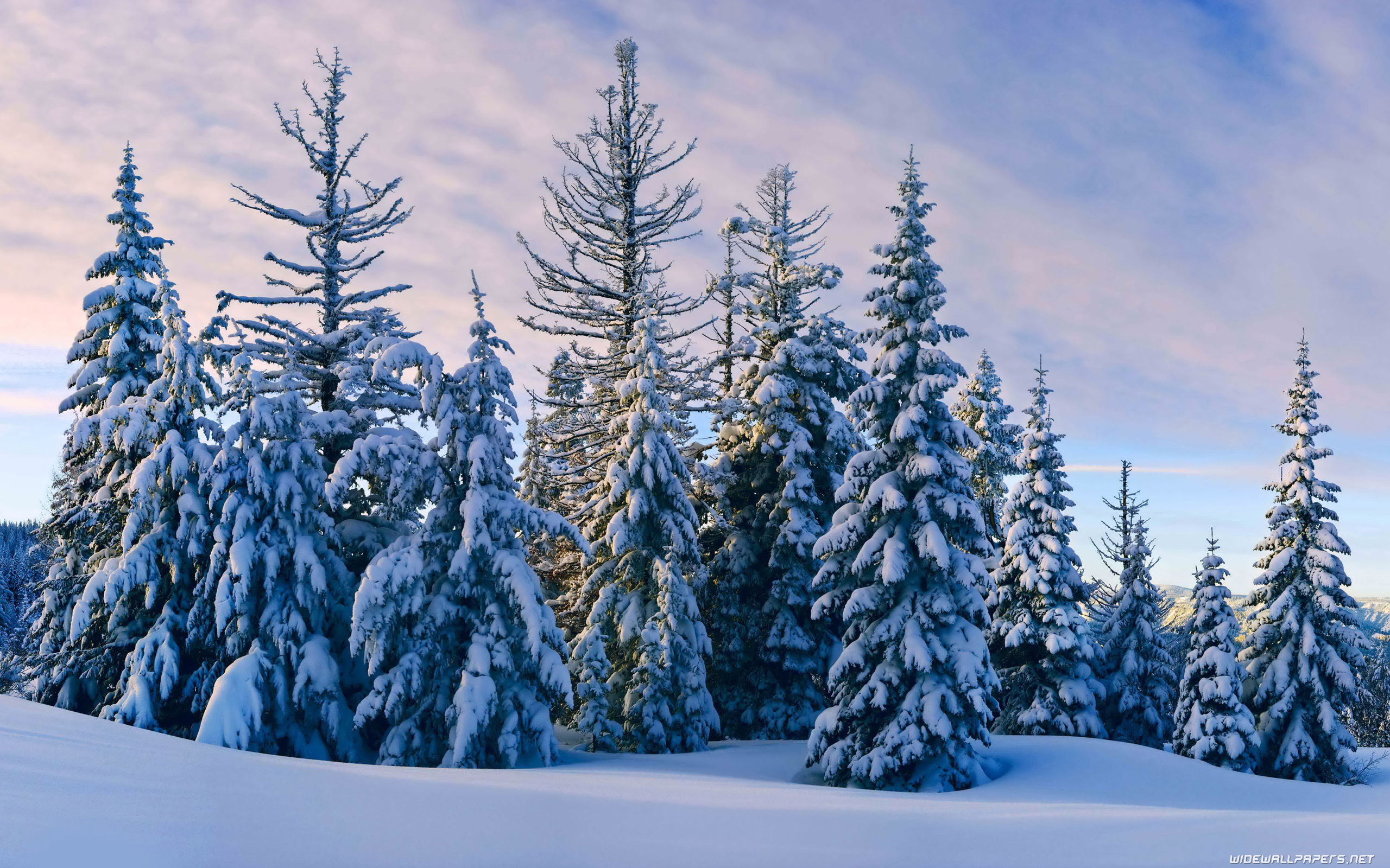 Winter Quiet Wallpapers - Wallpaper Cave