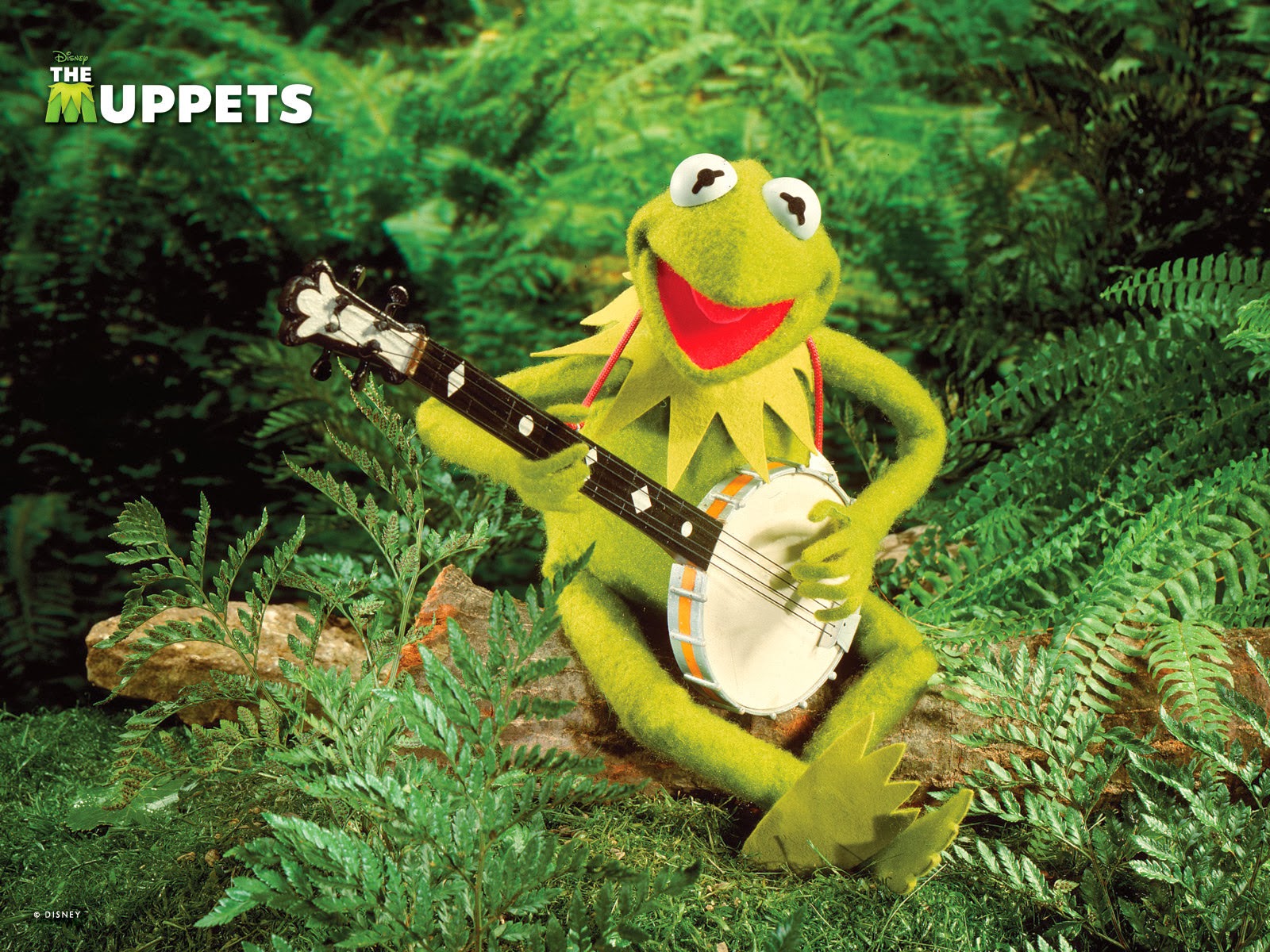 The Muppet Movie Rainbow Connection Wallpapers - Wallpaper Cave