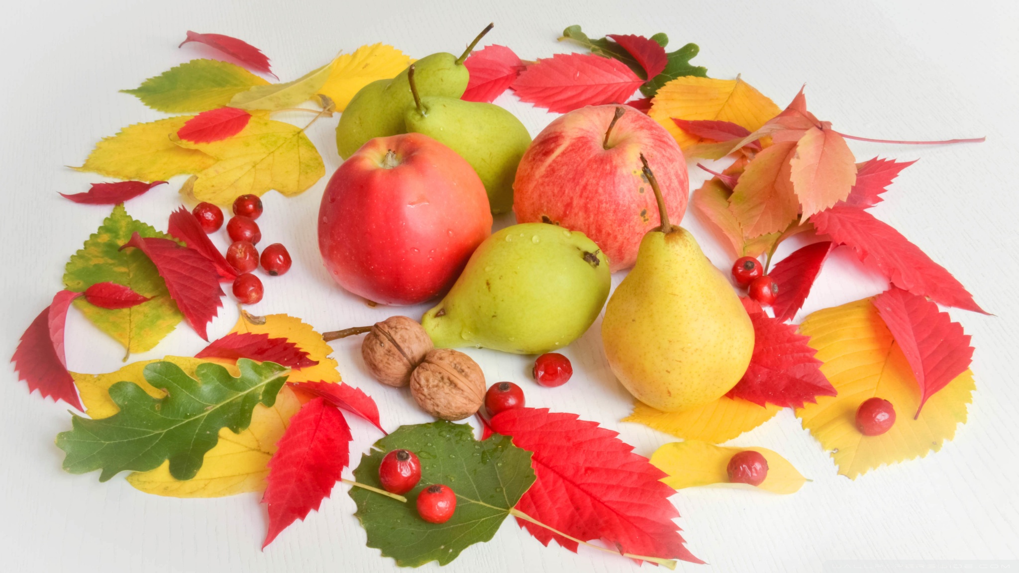 Fruit Autumn Wallpapers - Wallpaper Cave