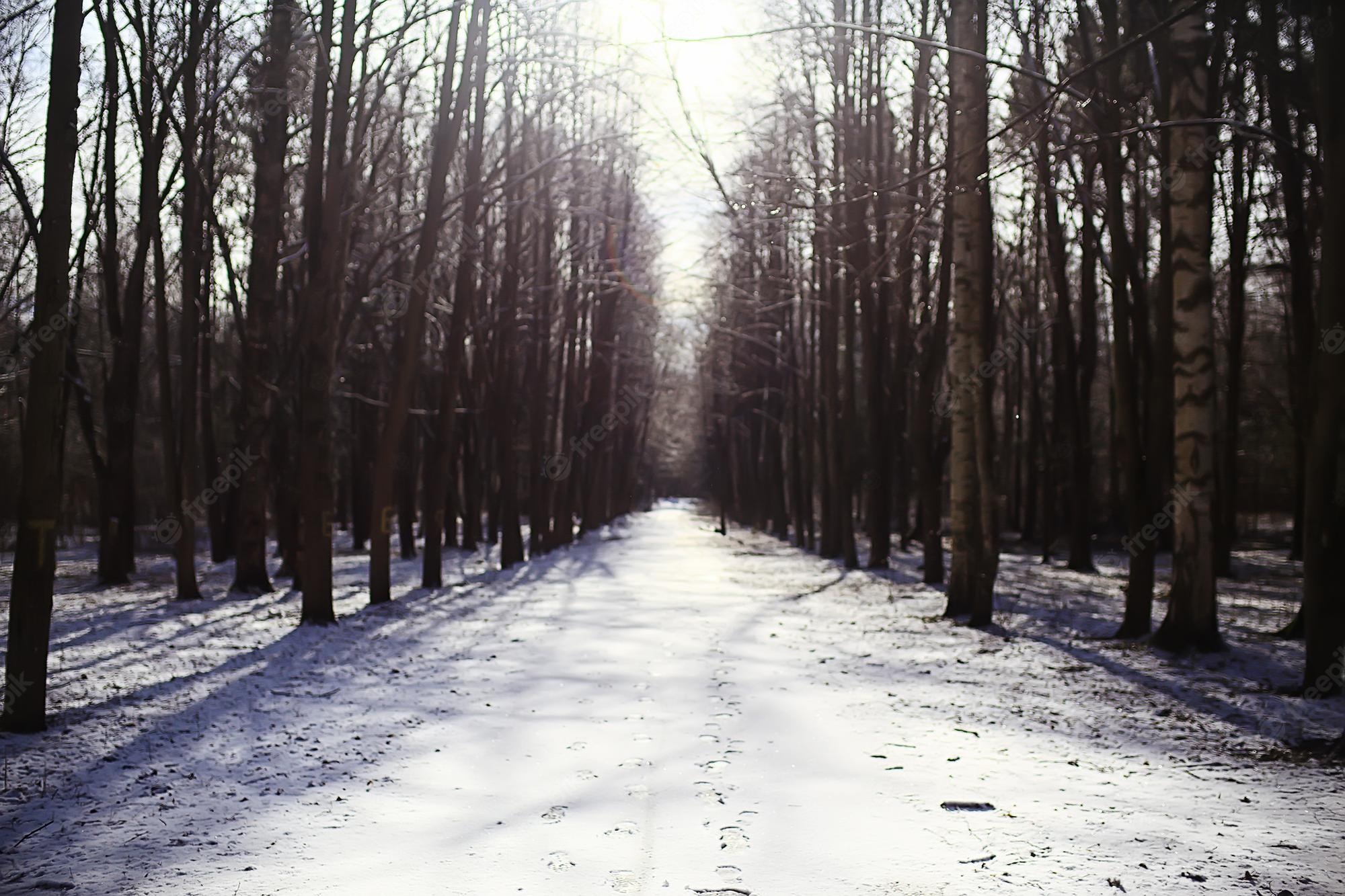 Winter Road Perspective Wallpapers - Wallpaper Cave