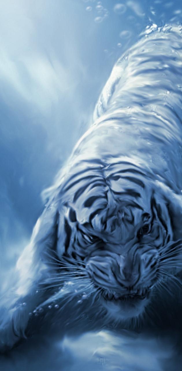 Water Tiger Wallpapers - Wallpaper Cave