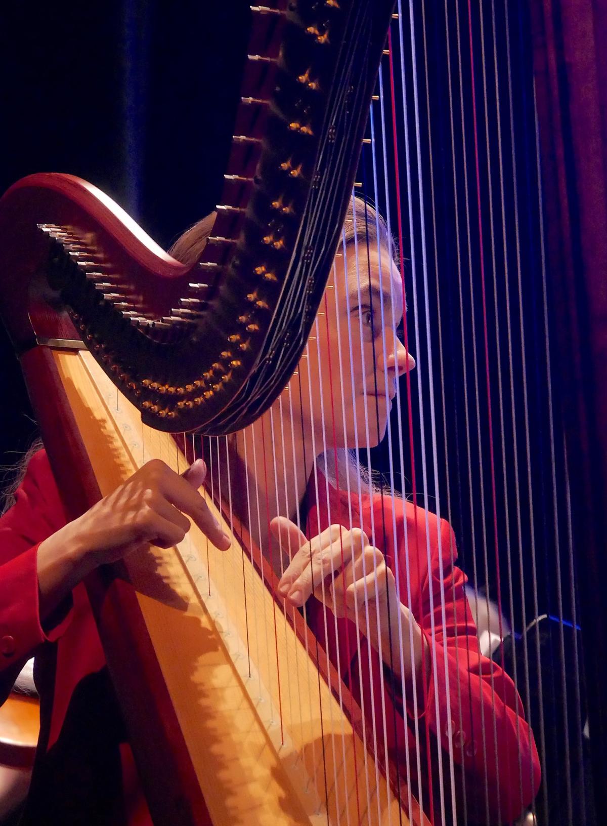 Myanmar Harp Wallpapers - Wallpaper Cave