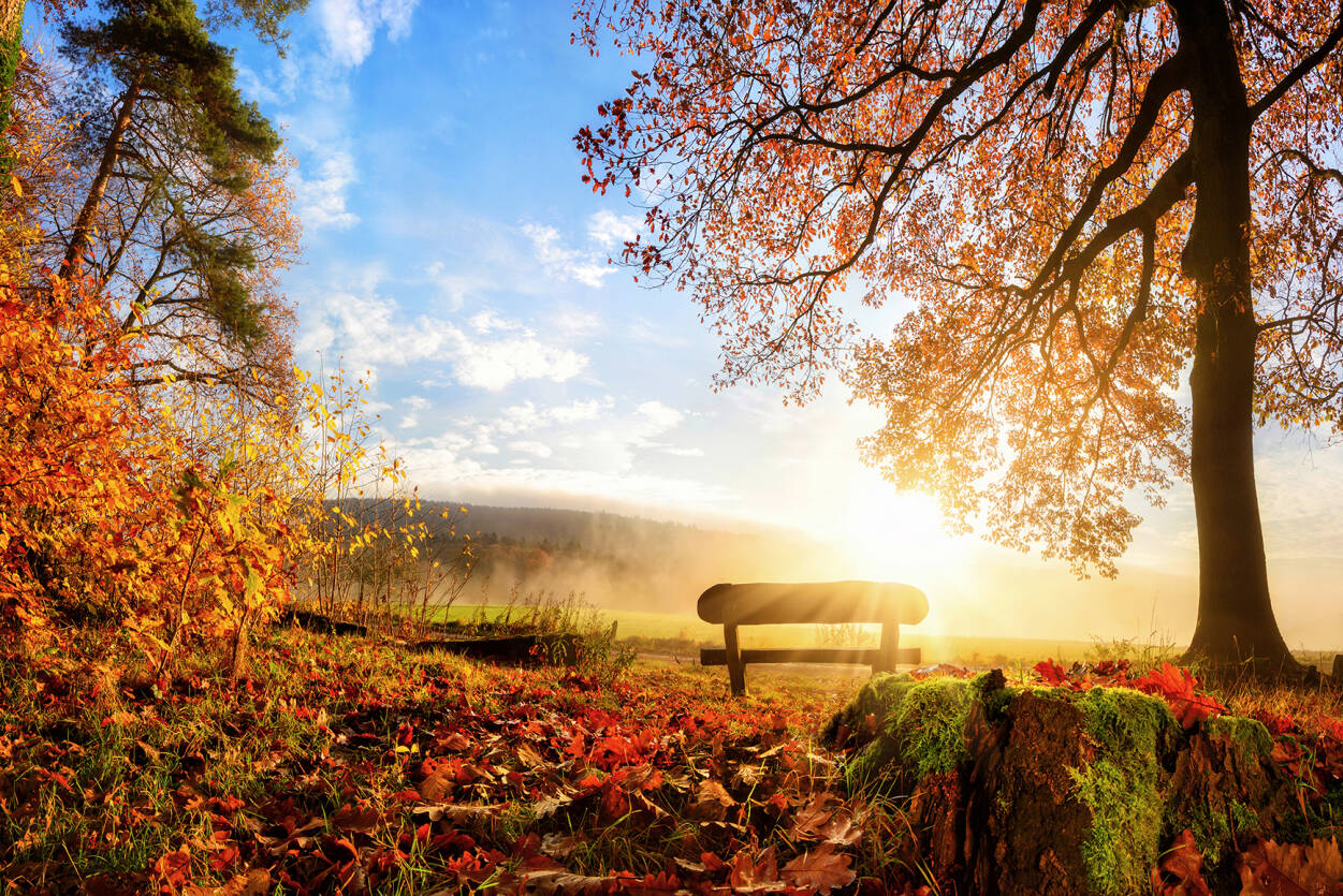 Sunny Autumn Morning Wallpapers - Wallpaper Cave