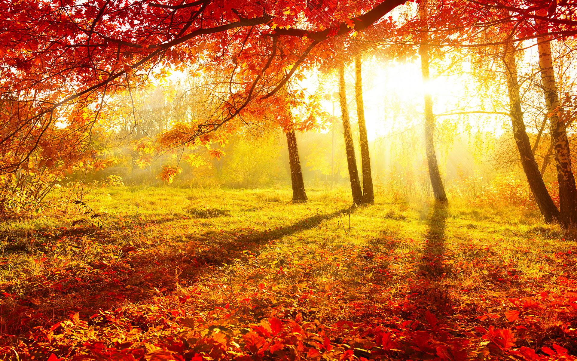 Sunny Autumn Morning Wallpapers - Wallpaper Cave