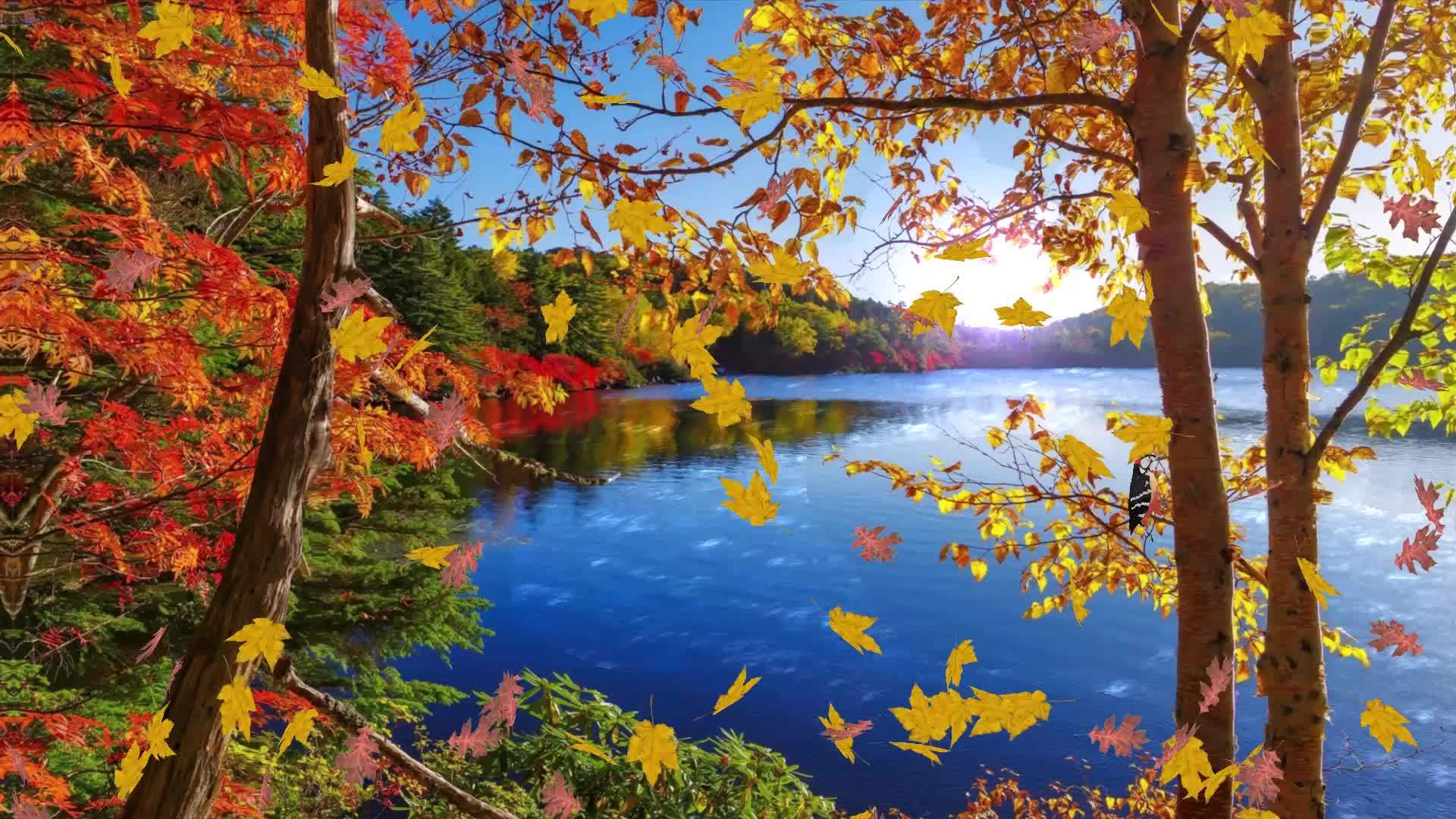 Sunny Autumn Morning Wallpapers - Wallpaper Cave