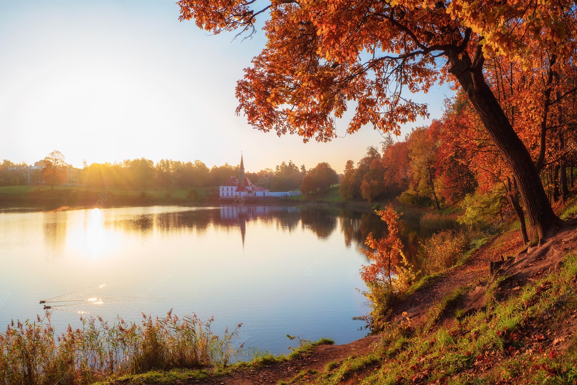 Sunny Autumn Morning Wallpapers - Wallpaper Cave