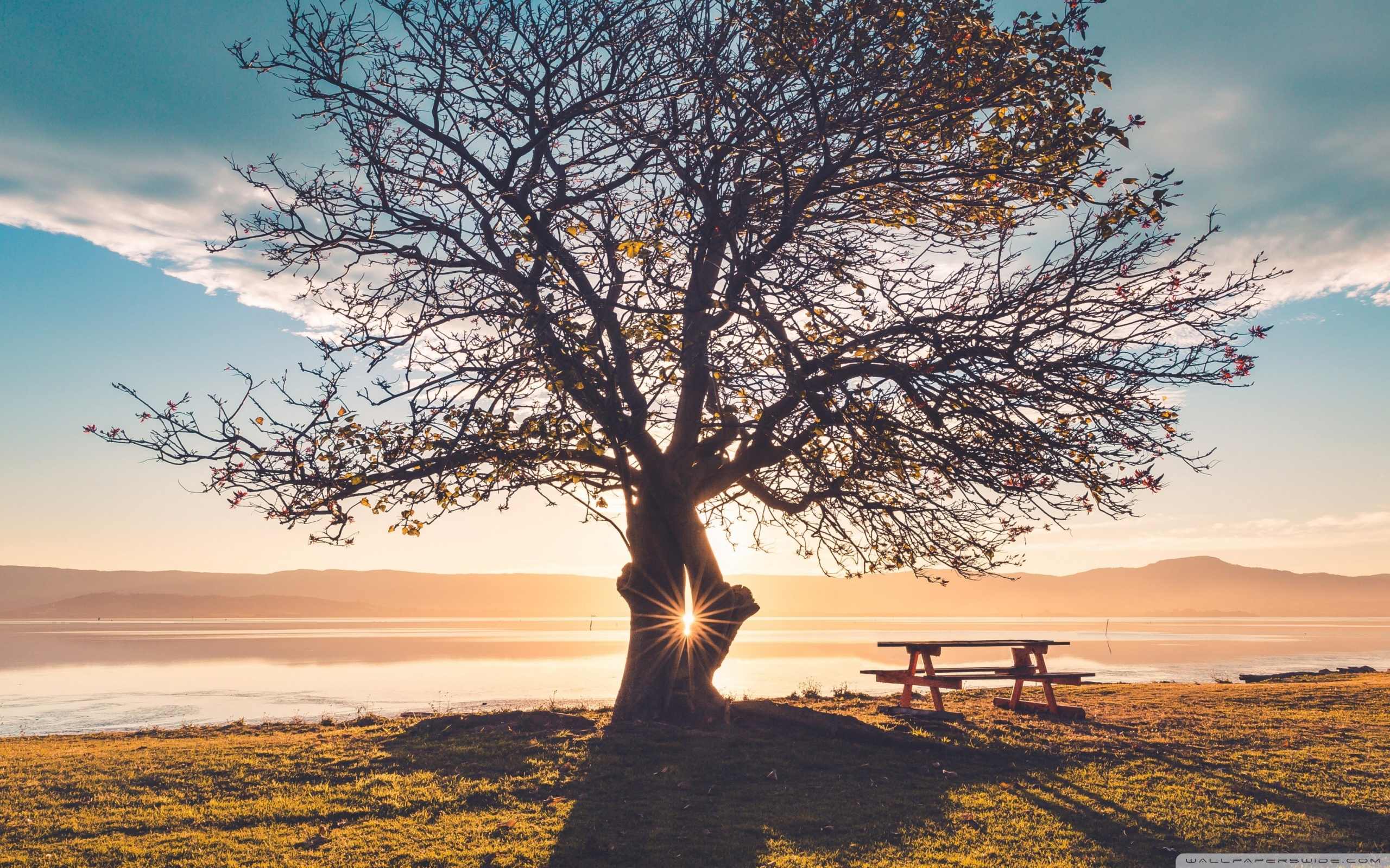 Sunny Autumn Morning Wallpapers - Wallpaper Cave