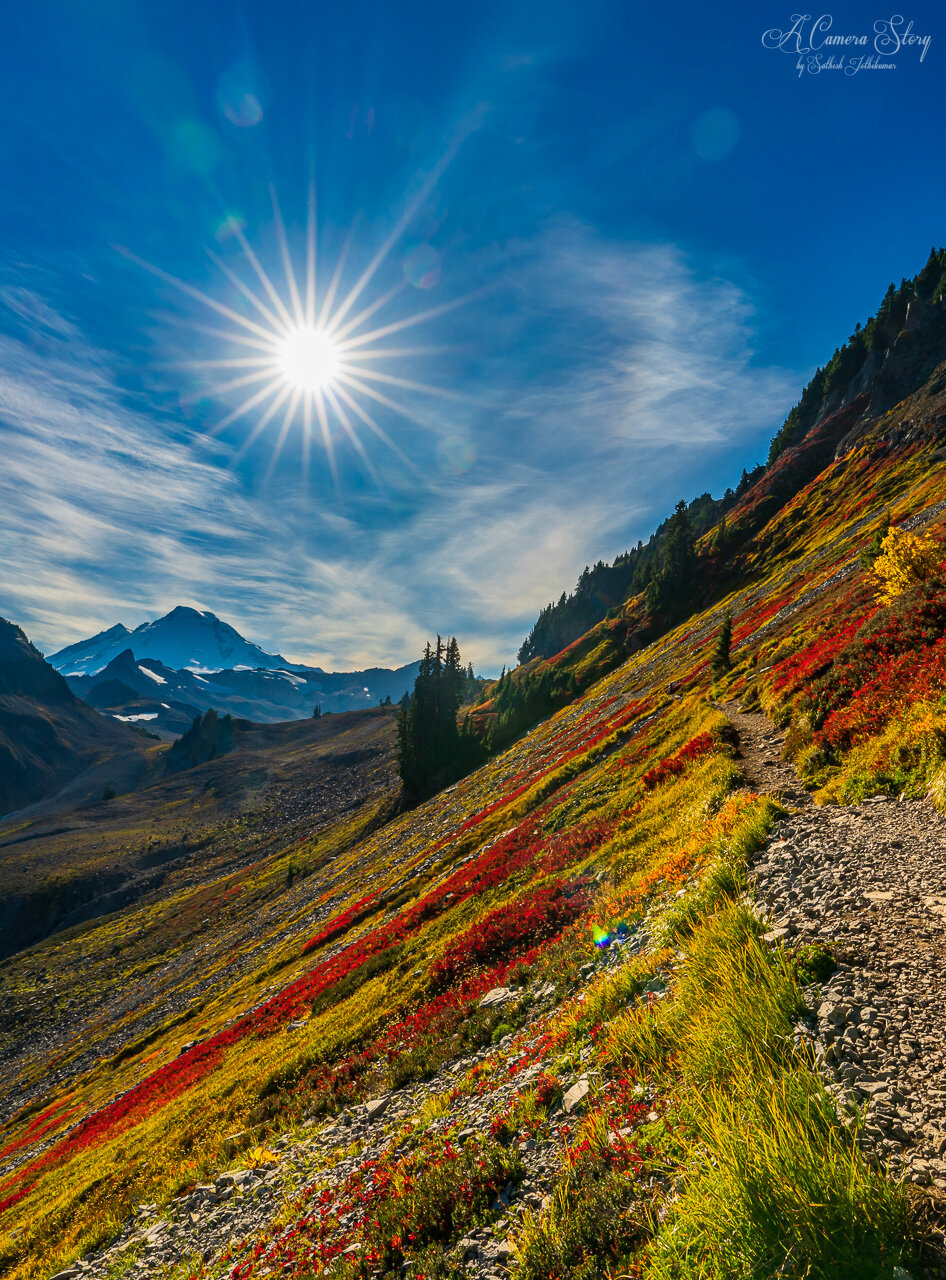 Sunny Autumn Morning Wallpapers - Wallpaper Cave