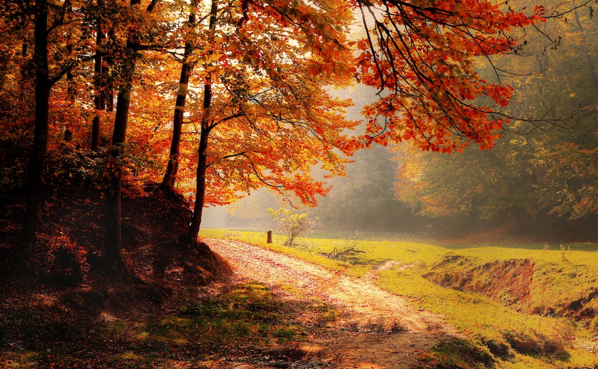 Sunny Autumn Morning Wallpapers - Wallpaper Cave