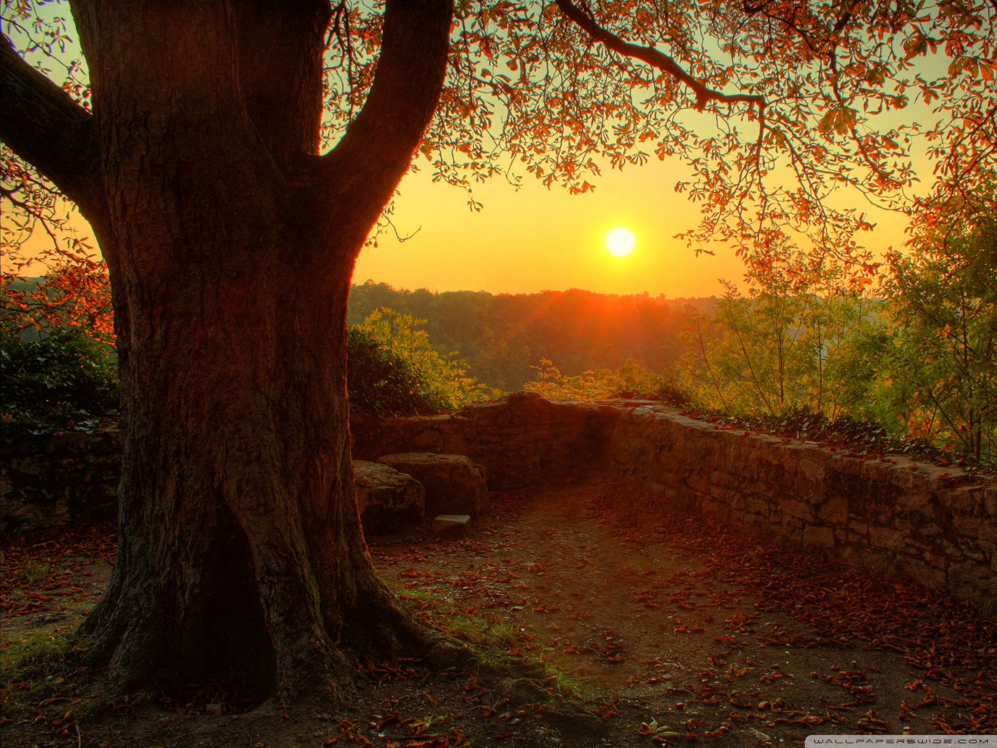 Sunny Autumn Morning Wallpapers - Wallpaper Cave
