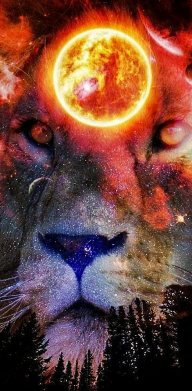 Lion And Sun Wallpapers - Wallpaper Cave