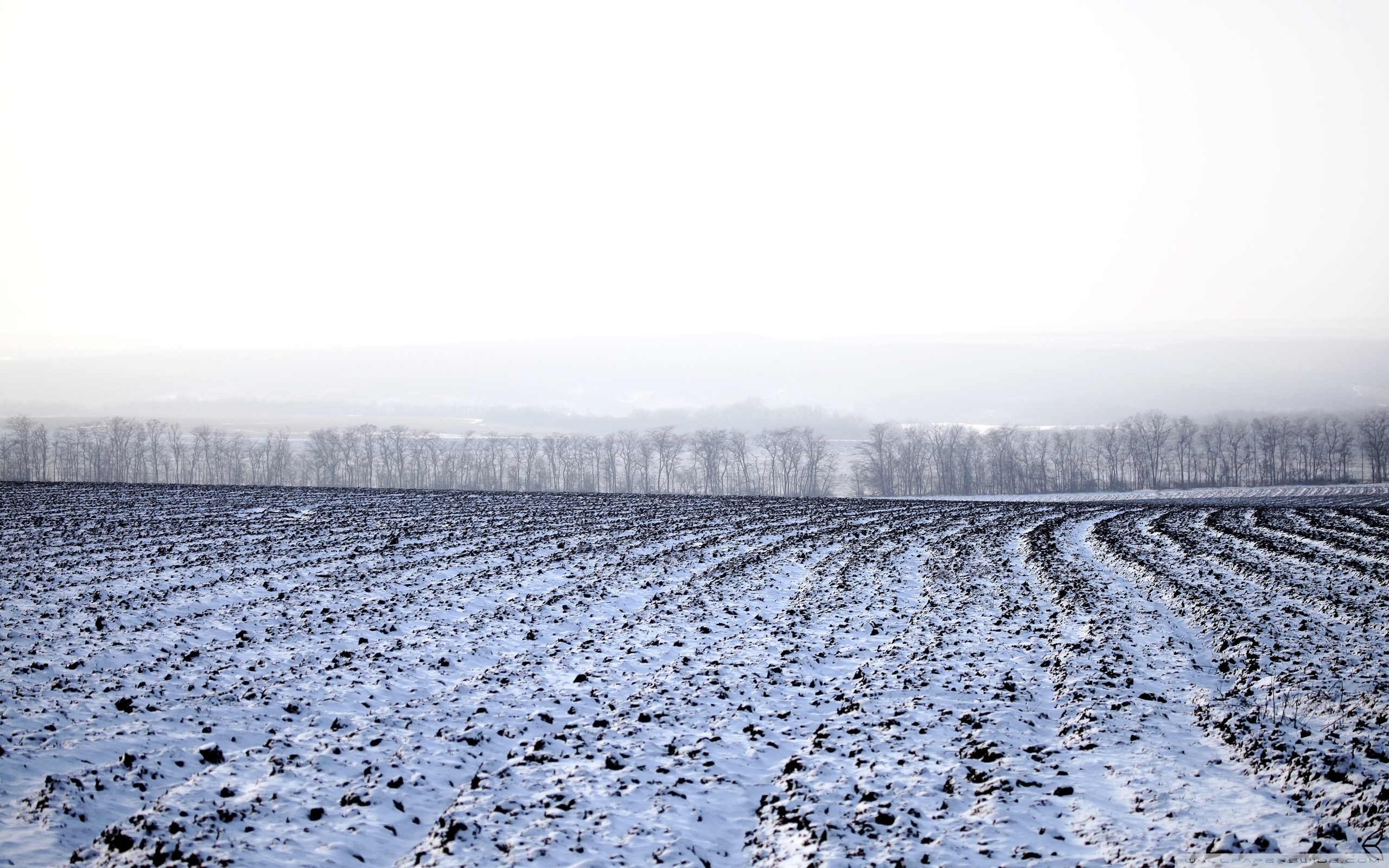 Field Winter Wallpapers - Wallpaper Cave