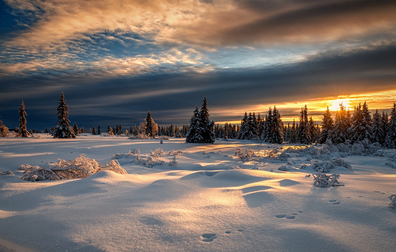 Norway Winter Forest Wallpapers - Wallpaper Cave