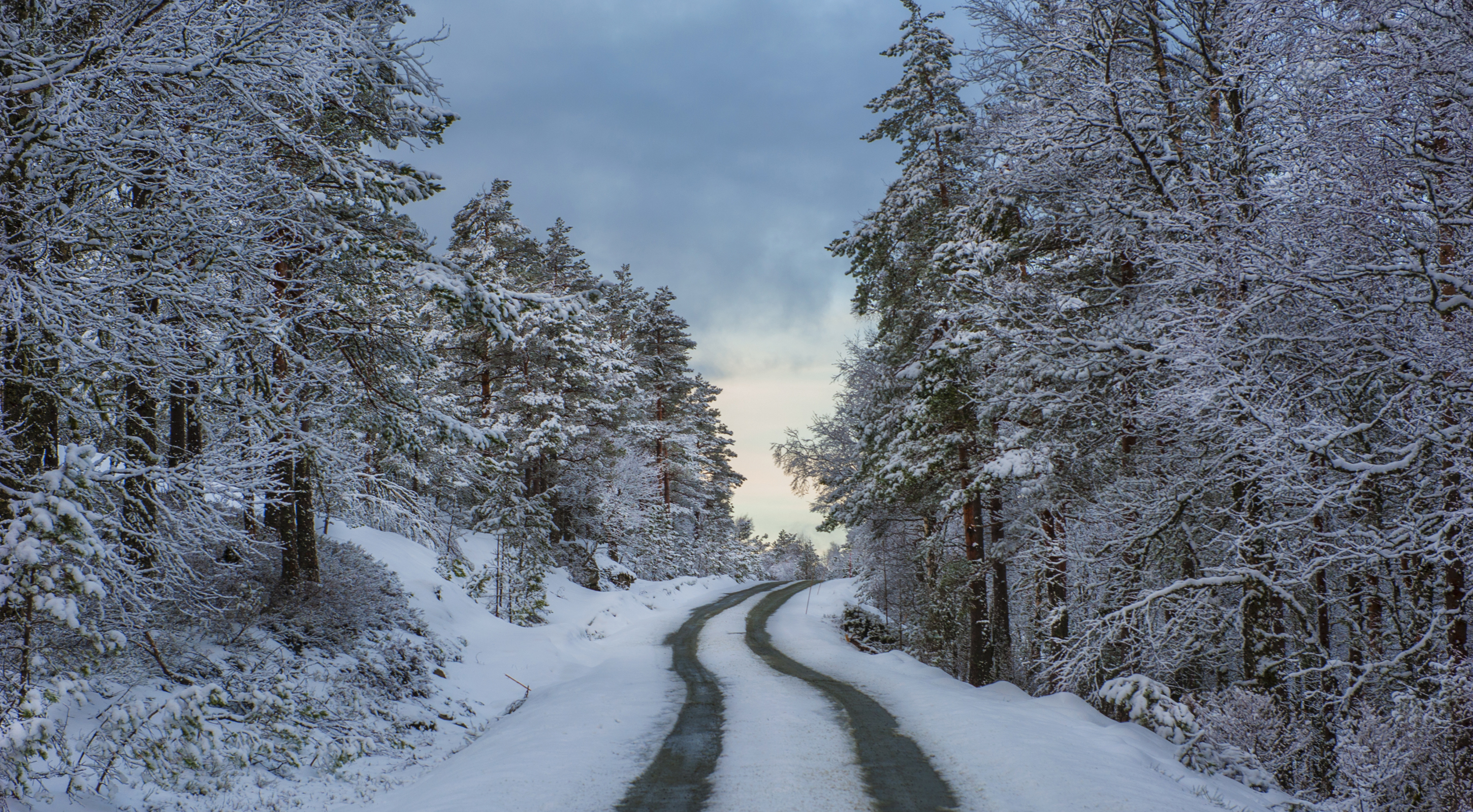 Norway Winter Forest Wallpapers - Wallpaper Cave