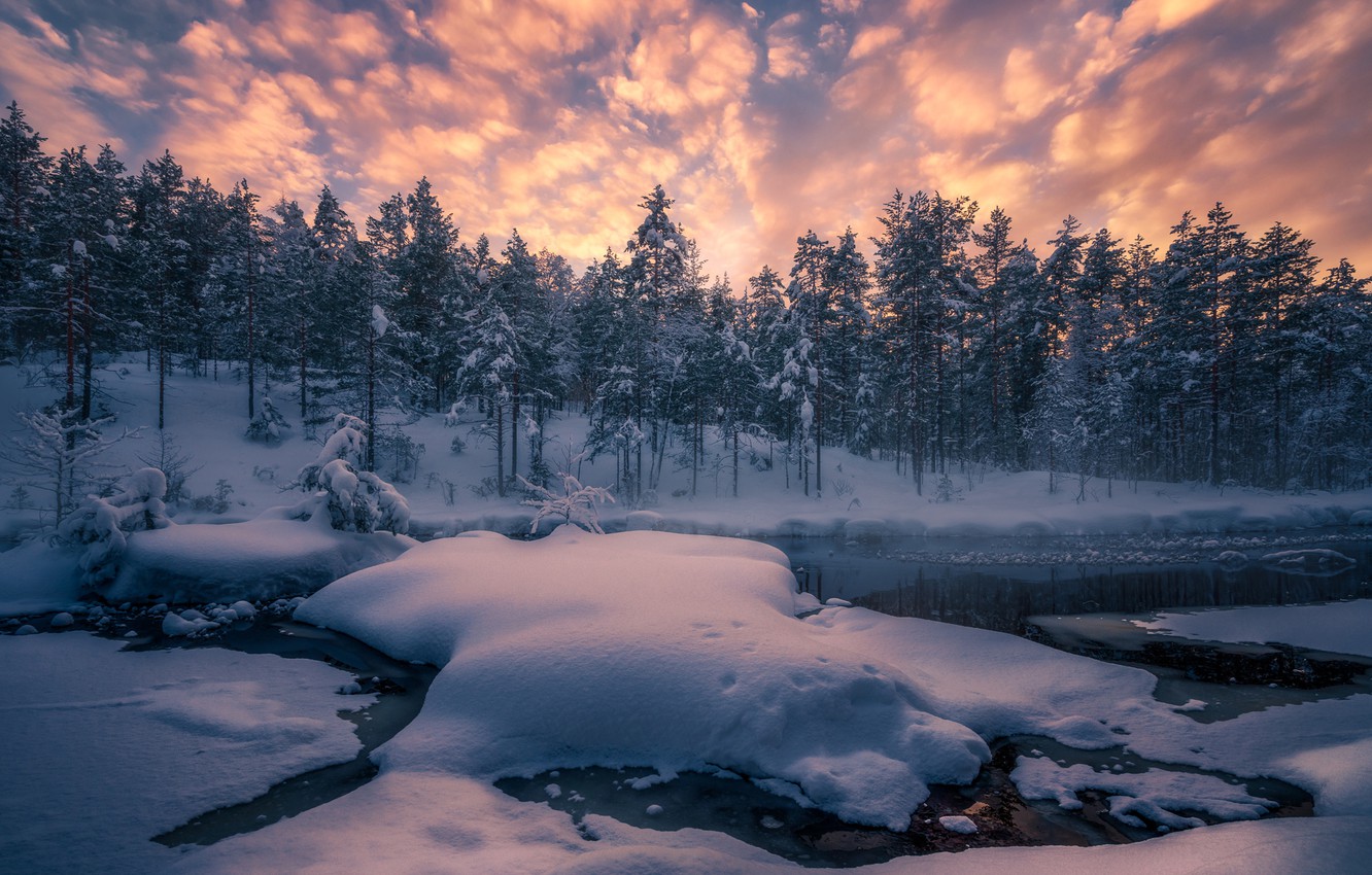 Norway Winter Forest Wallpapers - Wallpaper Cave