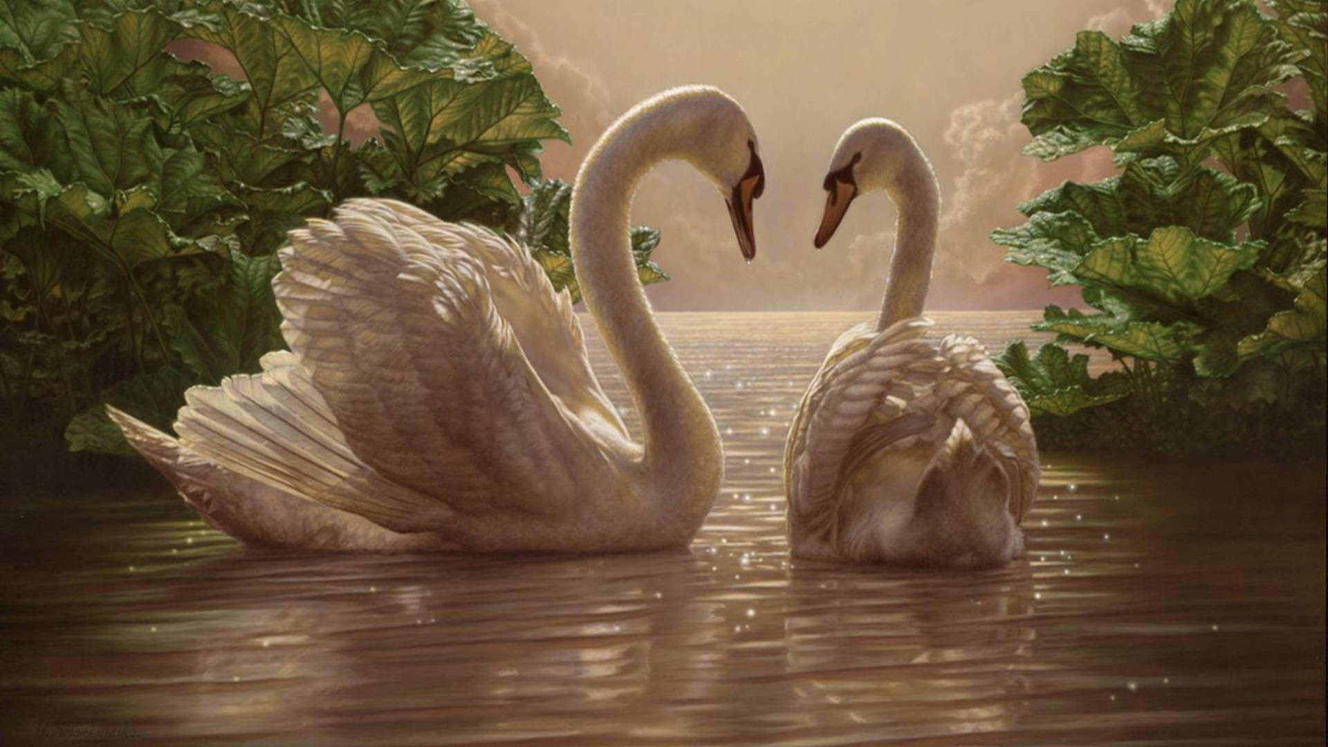 Mute Swan Wallpapers - Wallpaper Cave
