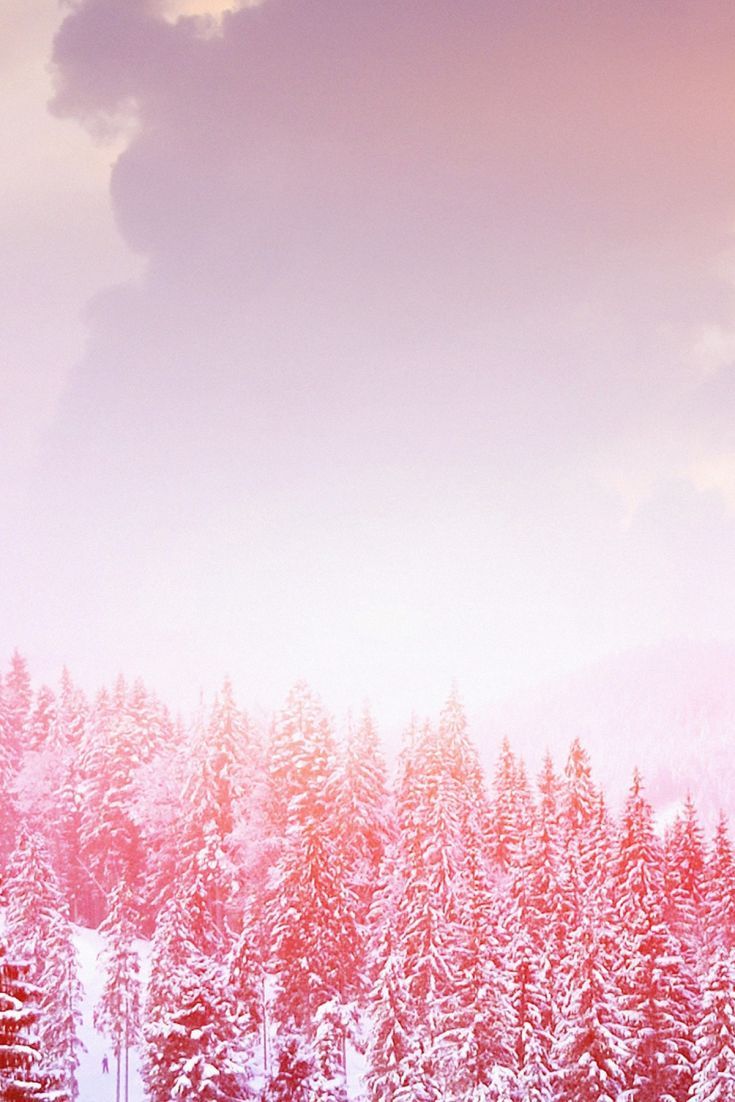 Winter Pink Tree Wallpapers - Wallpaper Cave