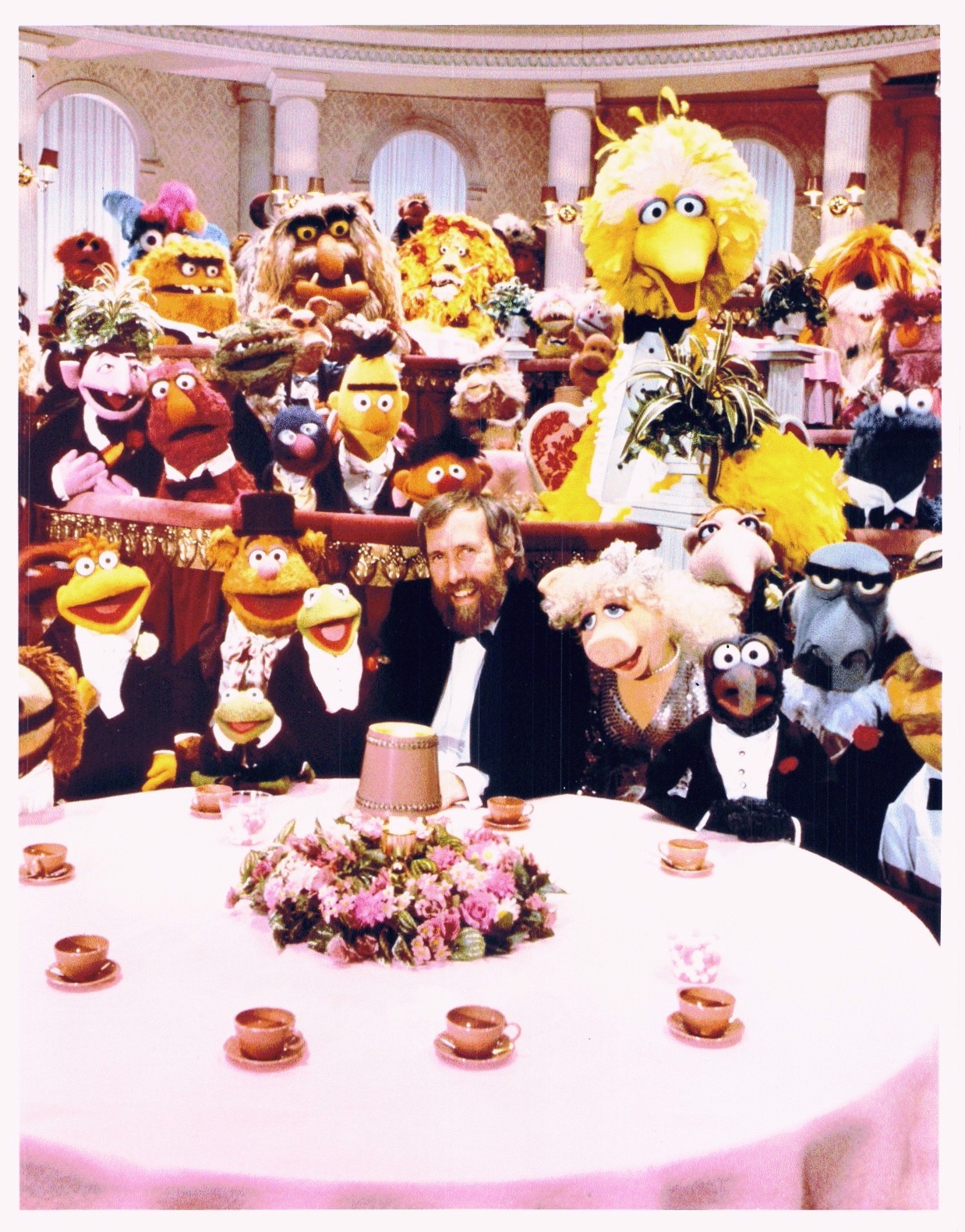 The Muppets A Celebration Of 30 Years Wallpapers - Wallpaper Cave