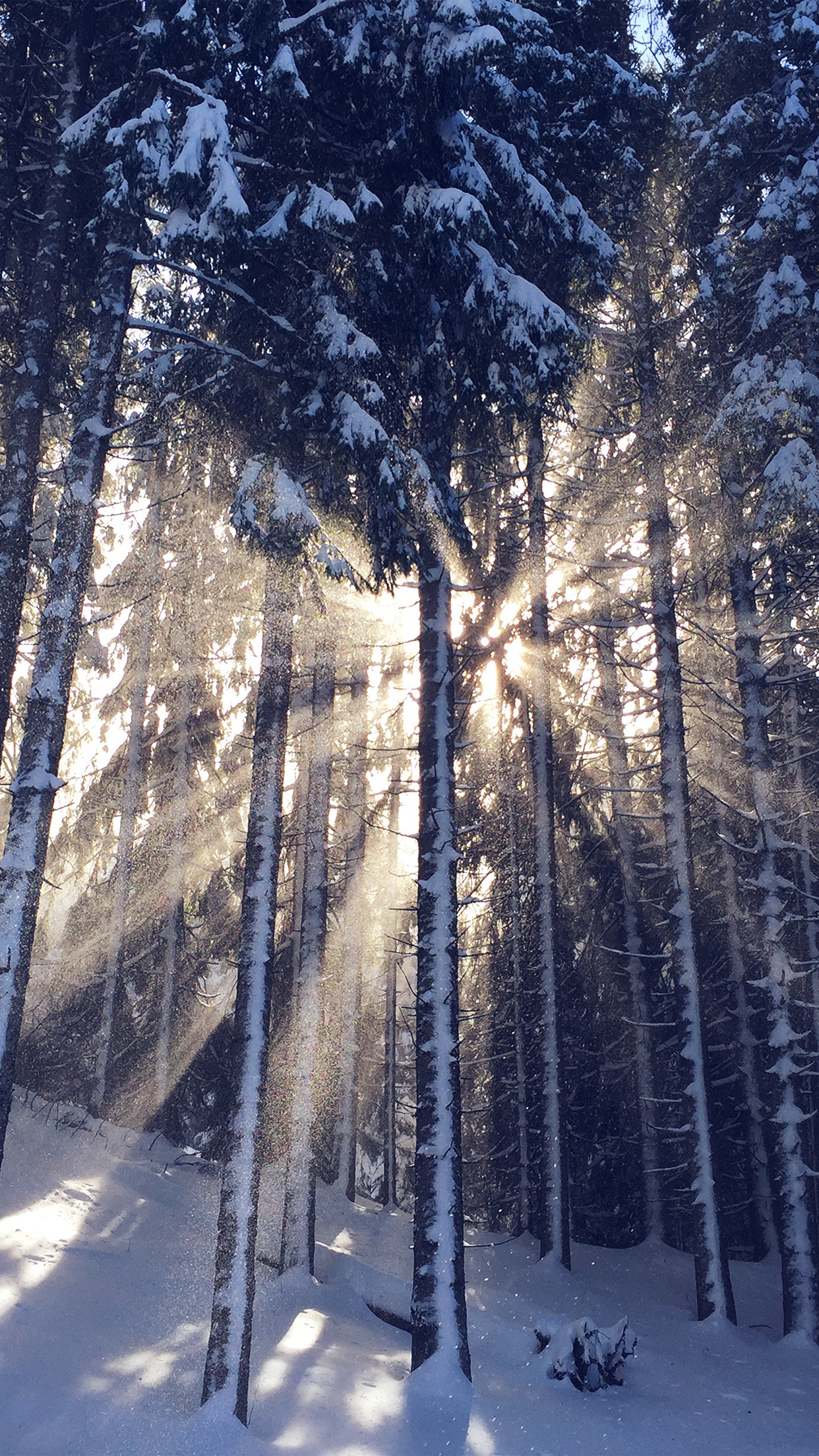 Blue Winter Snow Wallpapers - Wallpaper Cave