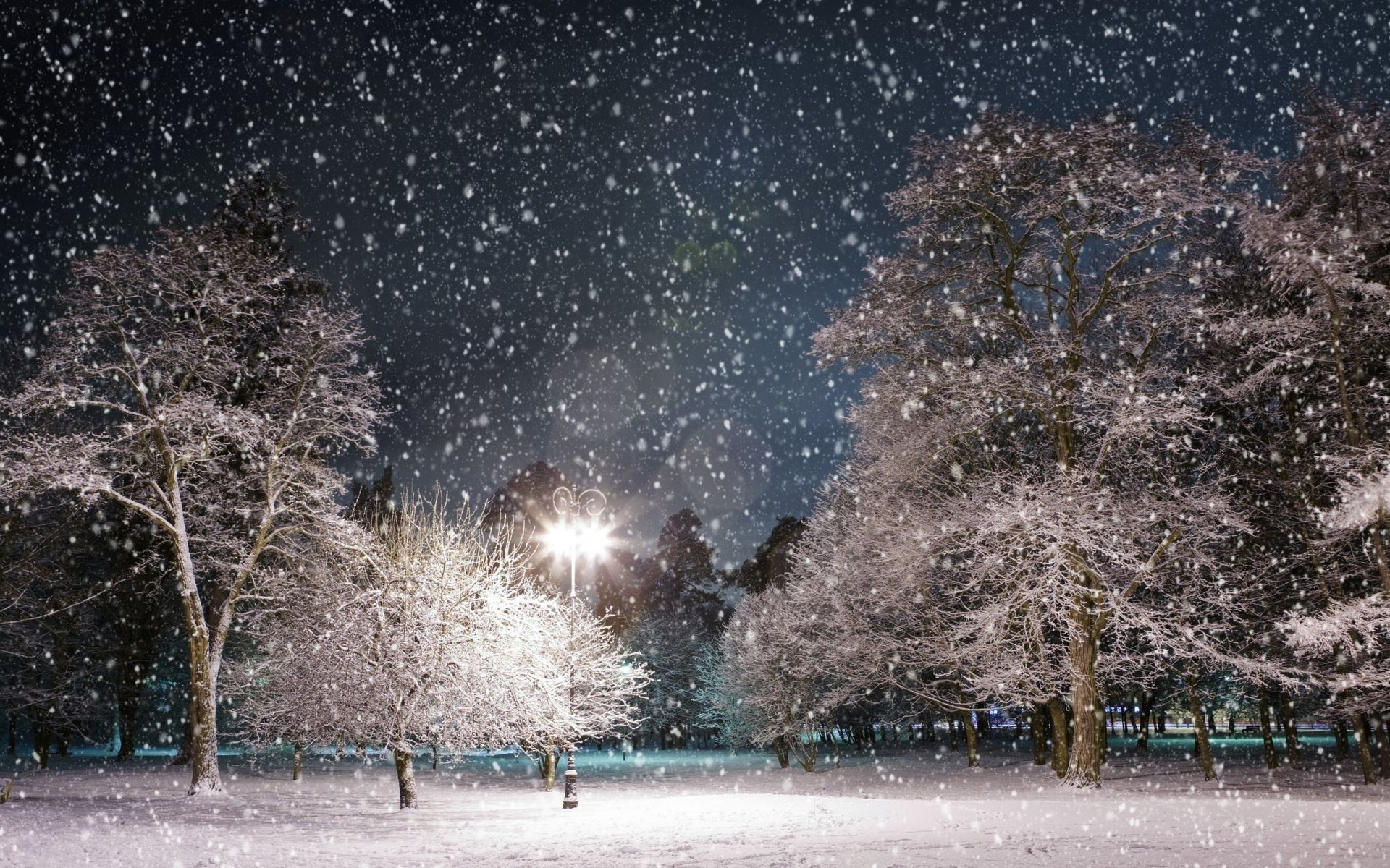 Snow Falling Winter Scenes Wallpapers - Wallpaper Cave
