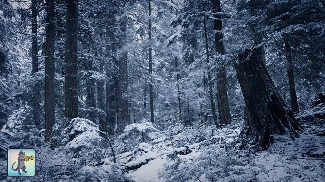 Snow Falling Winter Scenes Wallpapers - Wallpaper Cave