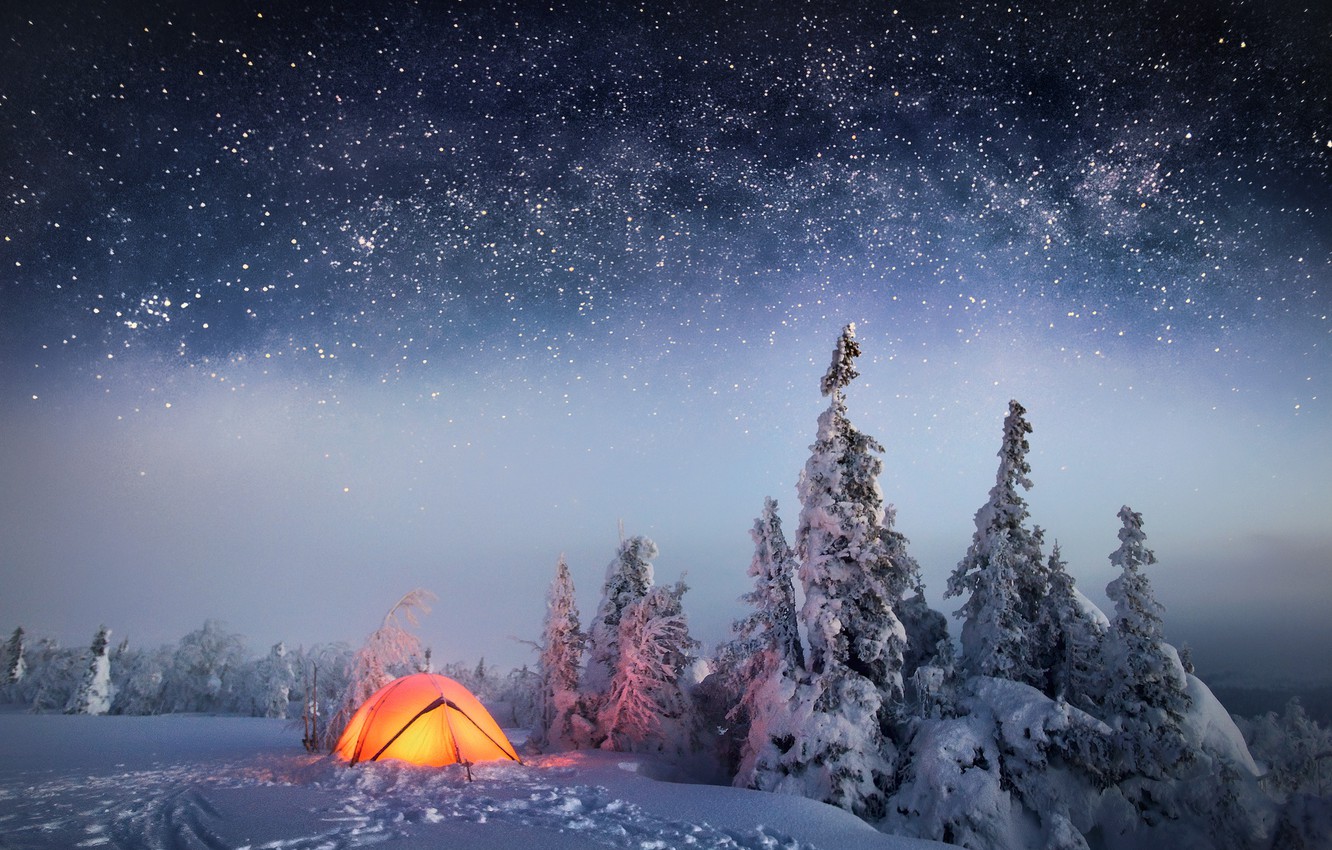 Winter Forest Desktop Stars Wallpapers - Wallpaper Cave