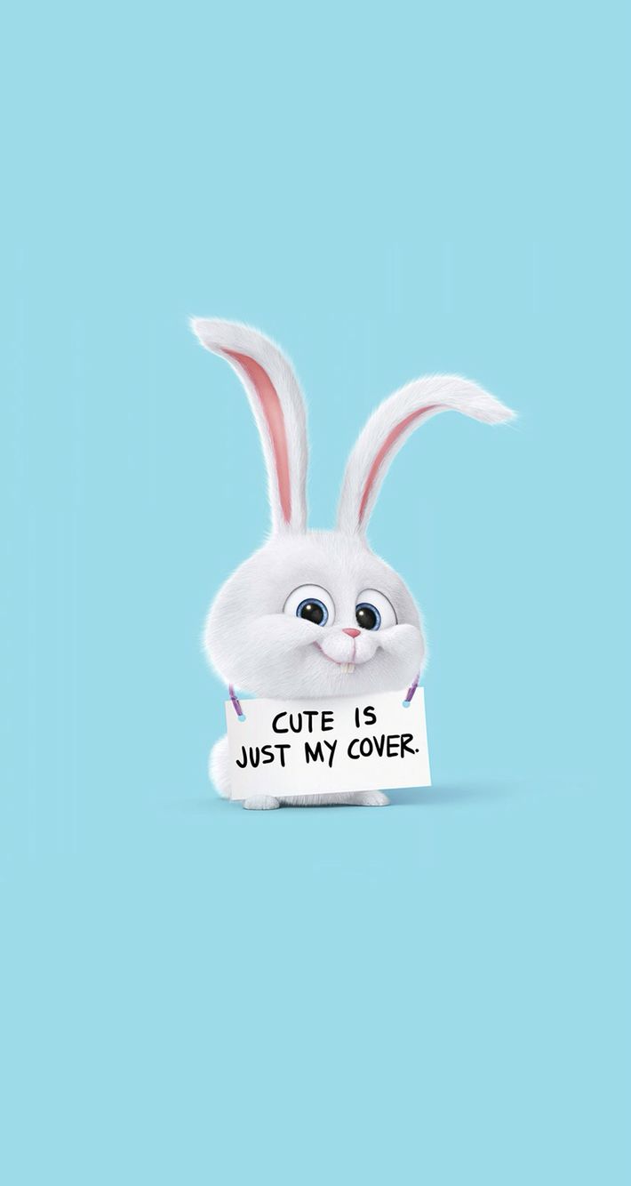 Funny Bunnies Wallpapers - Wallpaper Cave