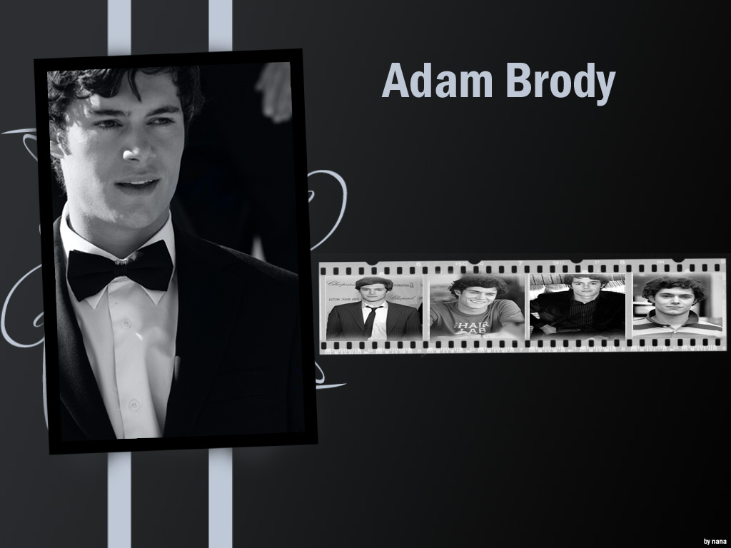 Adam Brody Wallpapers - Wallpaper Cave