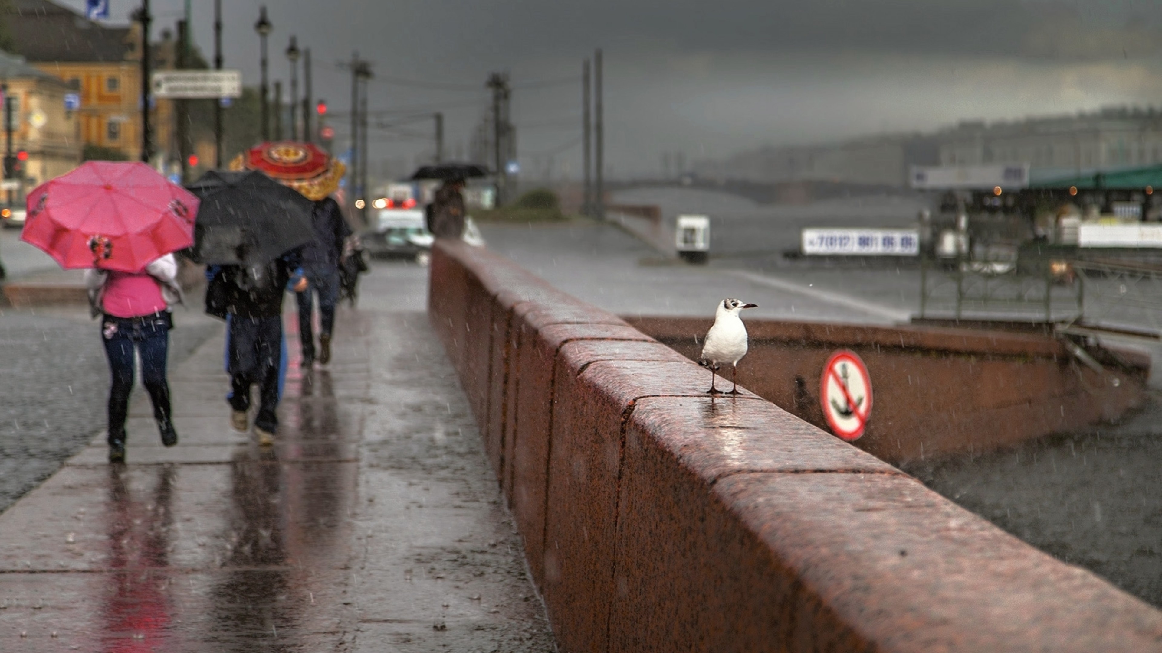 Rainy Day 4k Computer Wallpapers - Wallpaper Cave