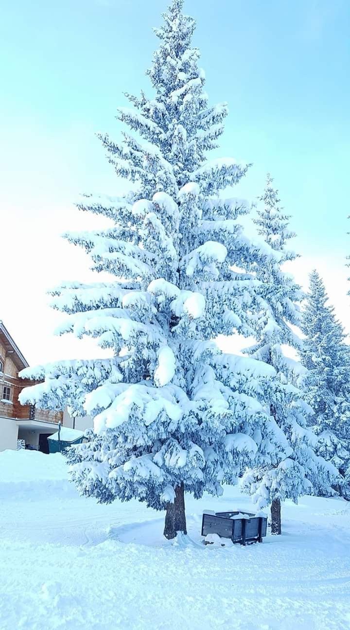 Outdoor Wintery Scenes Wallpapers - Wallpaper Cave