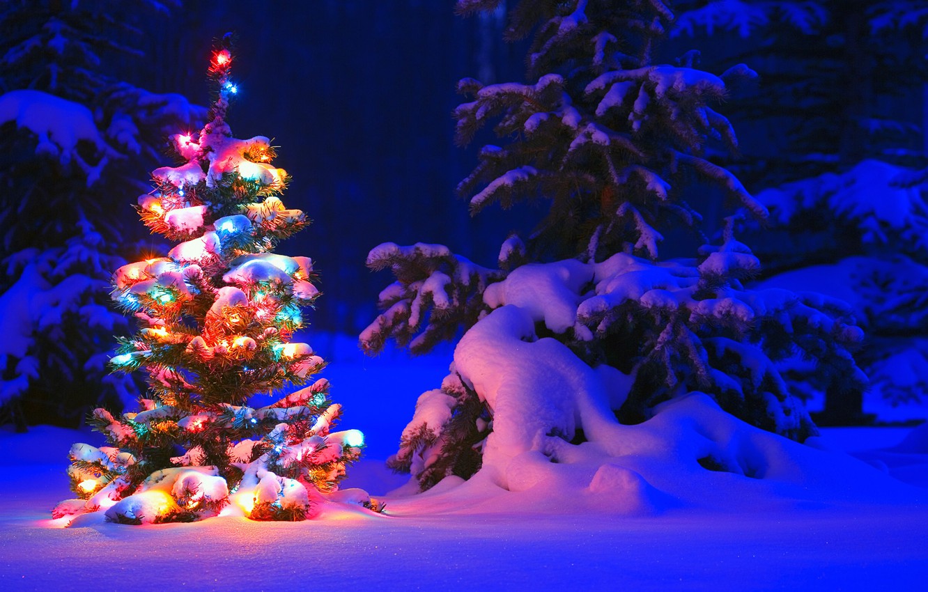 Tree Lights And Winter Wallpapers - Wallpaper Cave