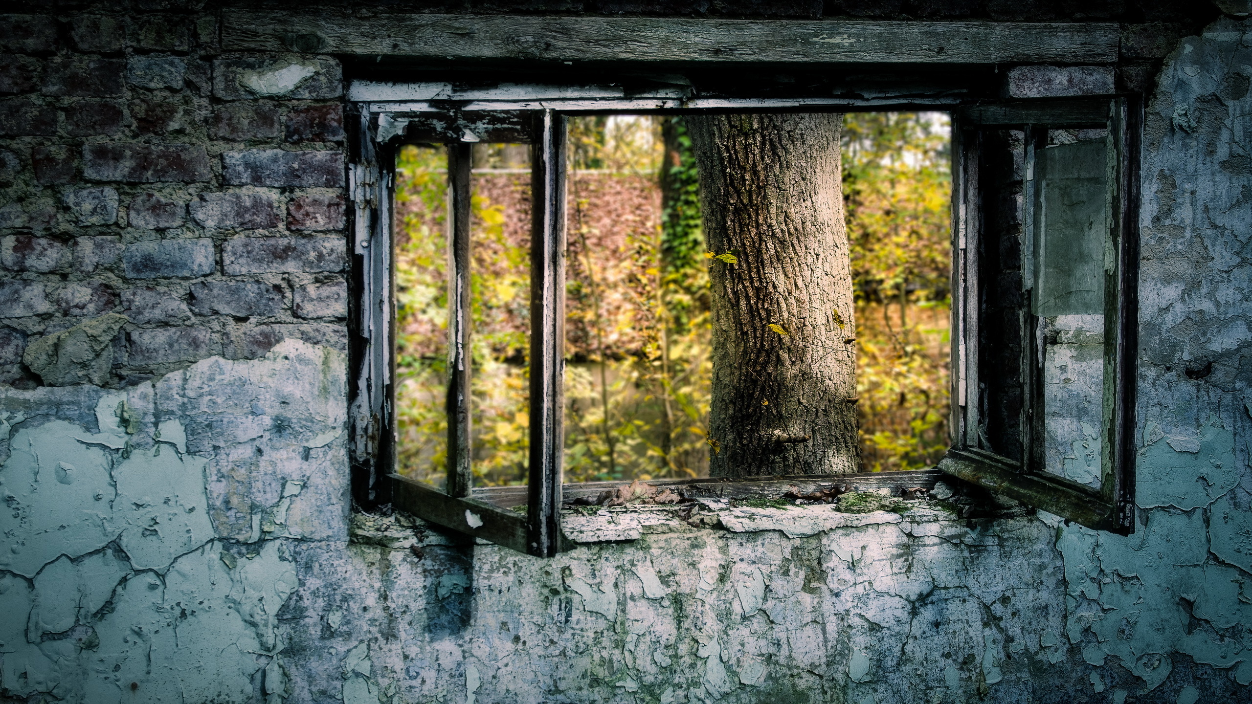 Old Window Wallpapers - Wallpaper Cave