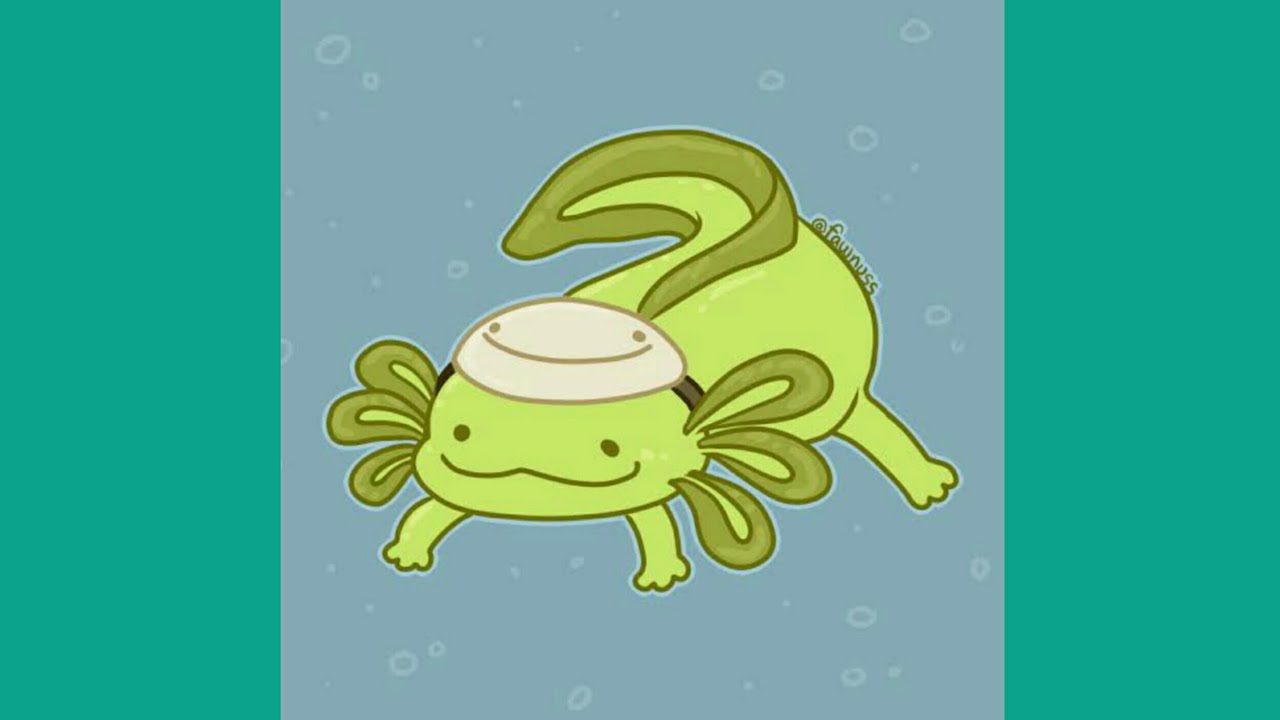Green Axolotl Wallpapers - Wallpaper Cave