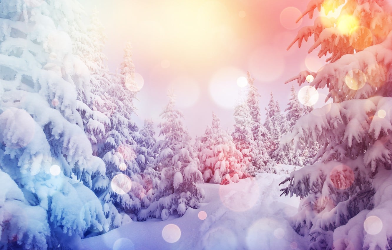 Colorful Winter Scenes Wallpapers - Wallpaper Cave