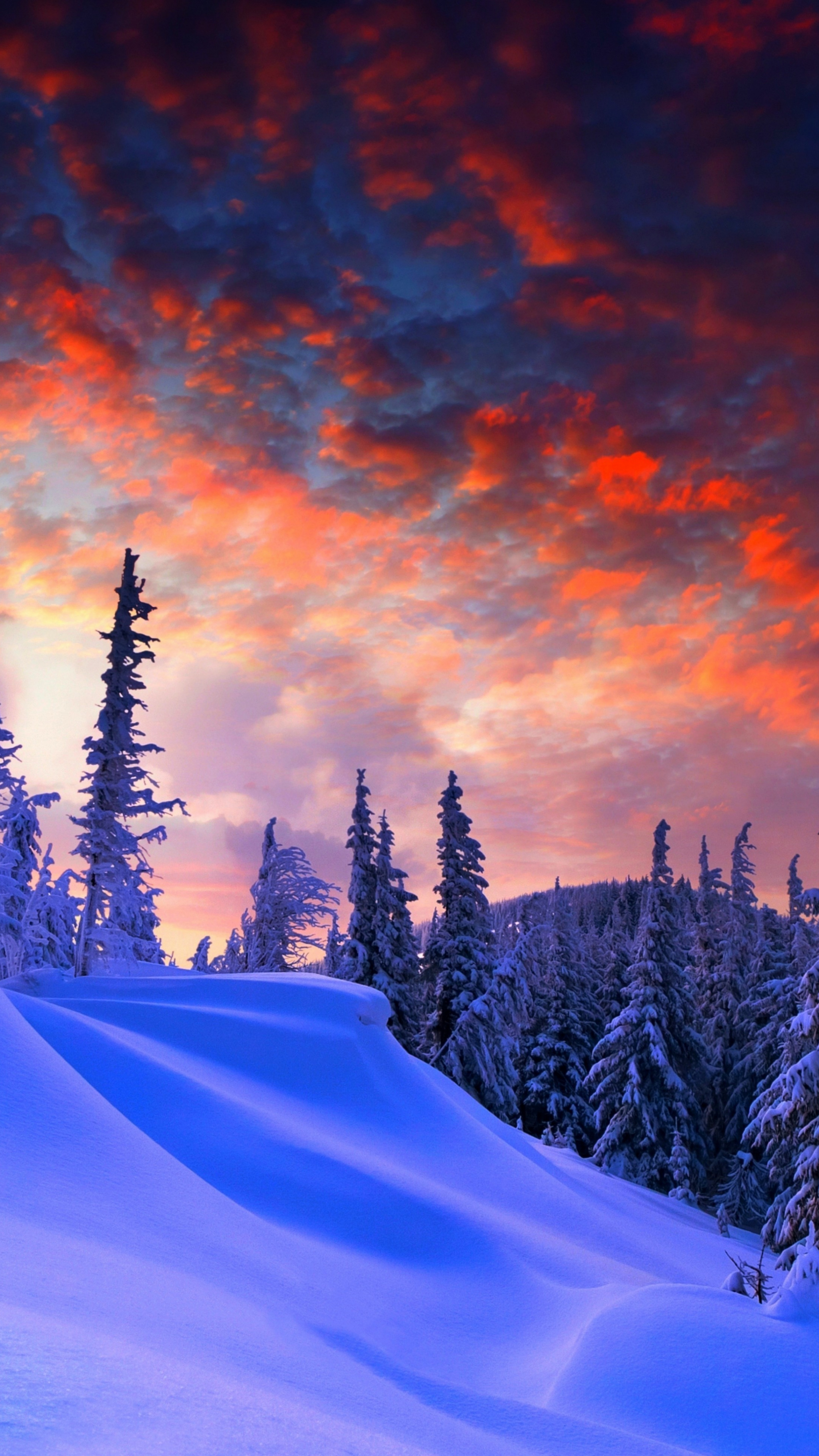 2160x3840 Christmas Wallpapers - Wallpaper Cave
