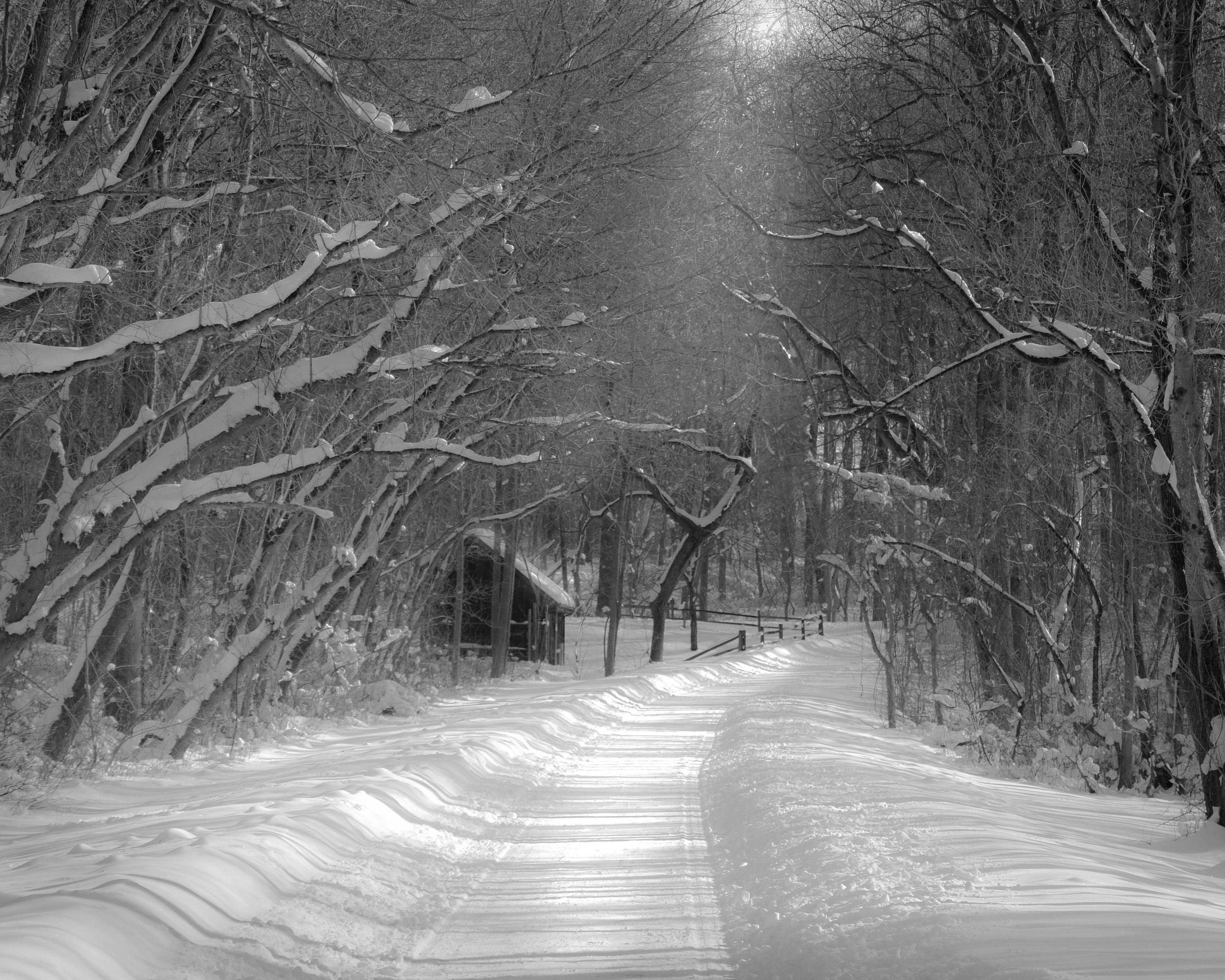 Winter Cabin Black And White Wallpapers - Wallpaper Cave