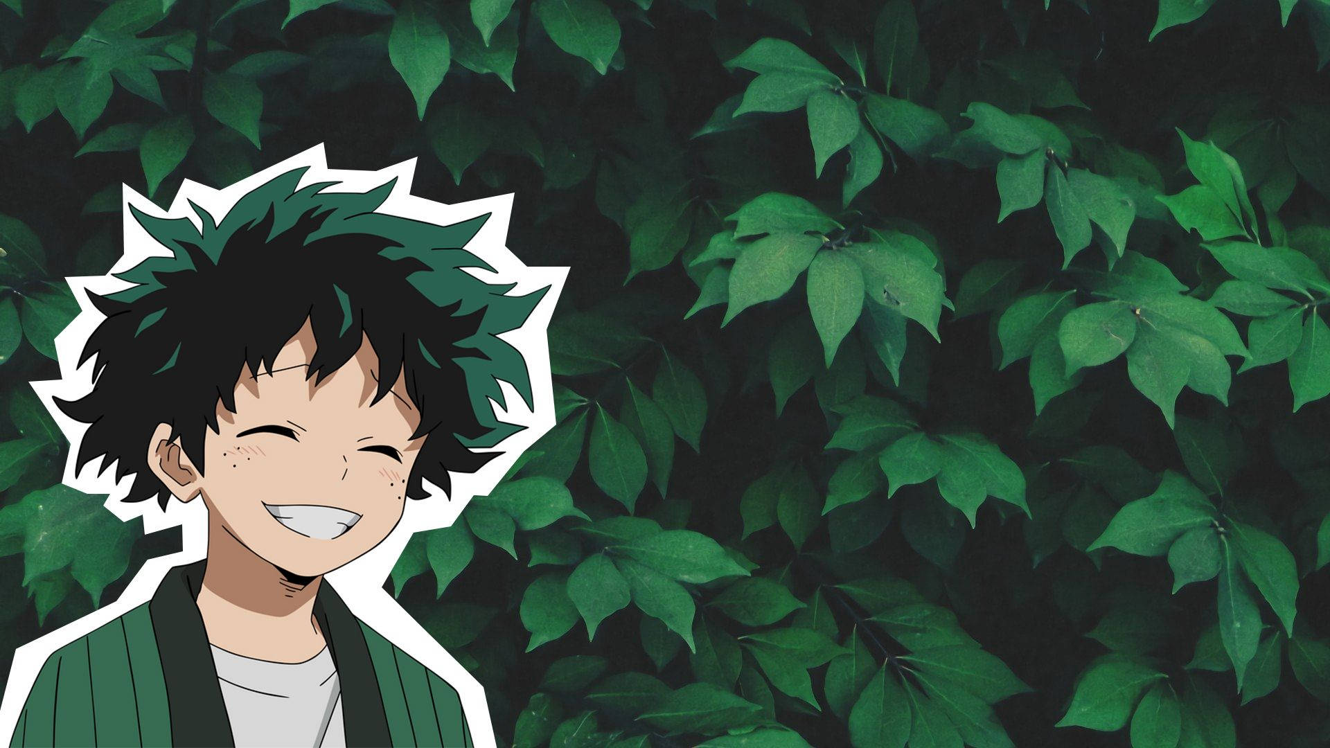 Deku Smile Wallpapers - Wallpaper Cave