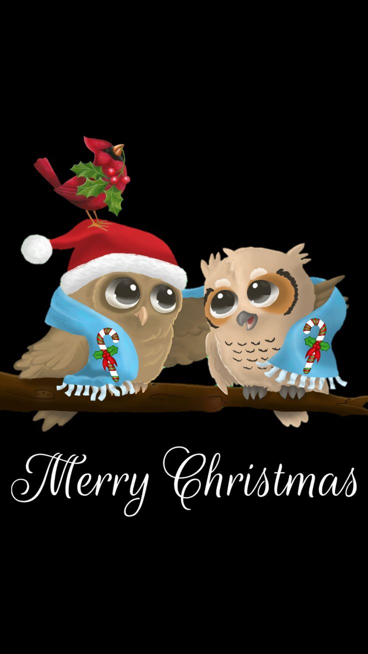 Cute Christmas Owl Wallpapers - Wallpaper Cave