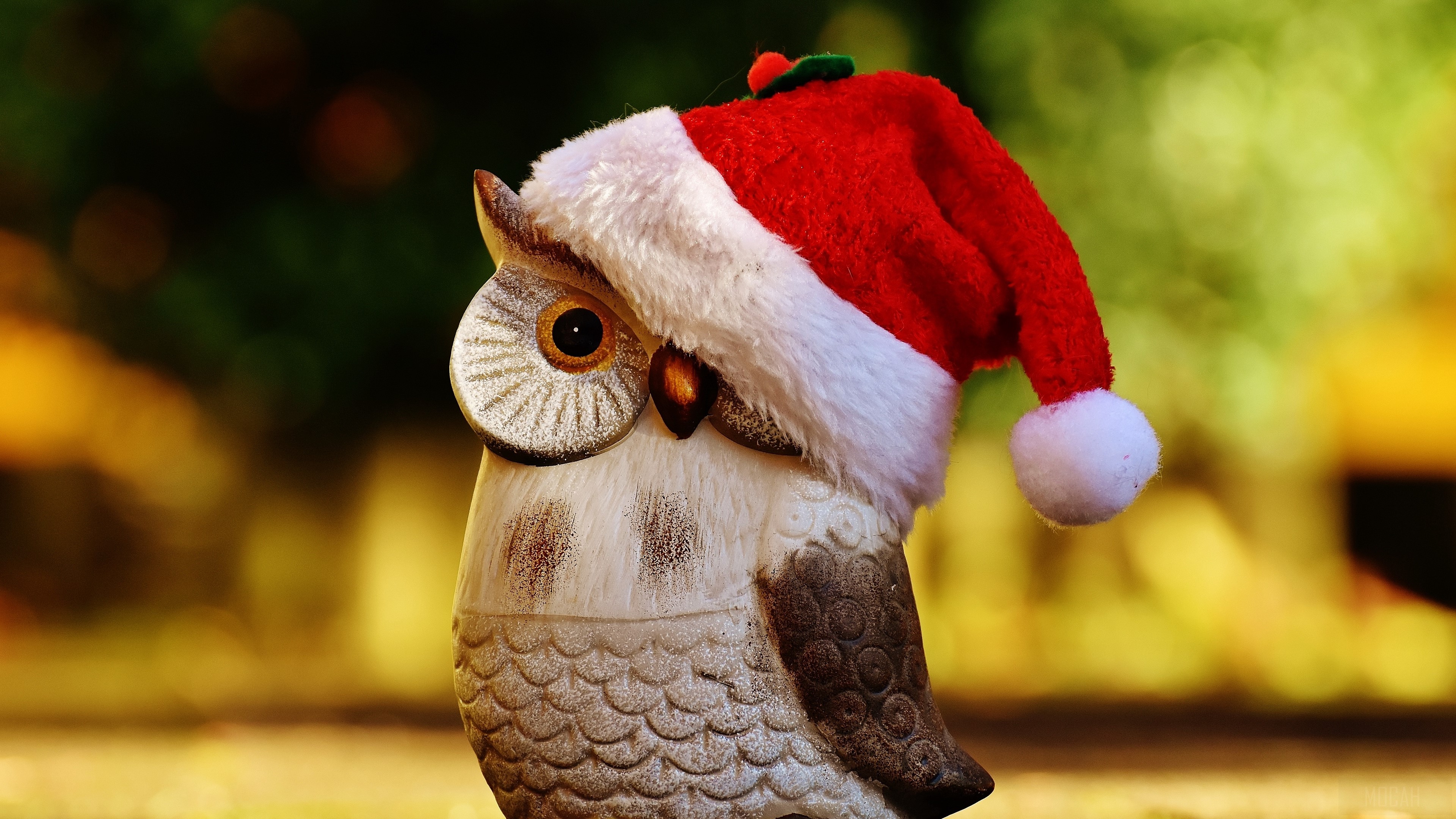 Cute Christmas Owl Wallpapers - Wallpaper Cave