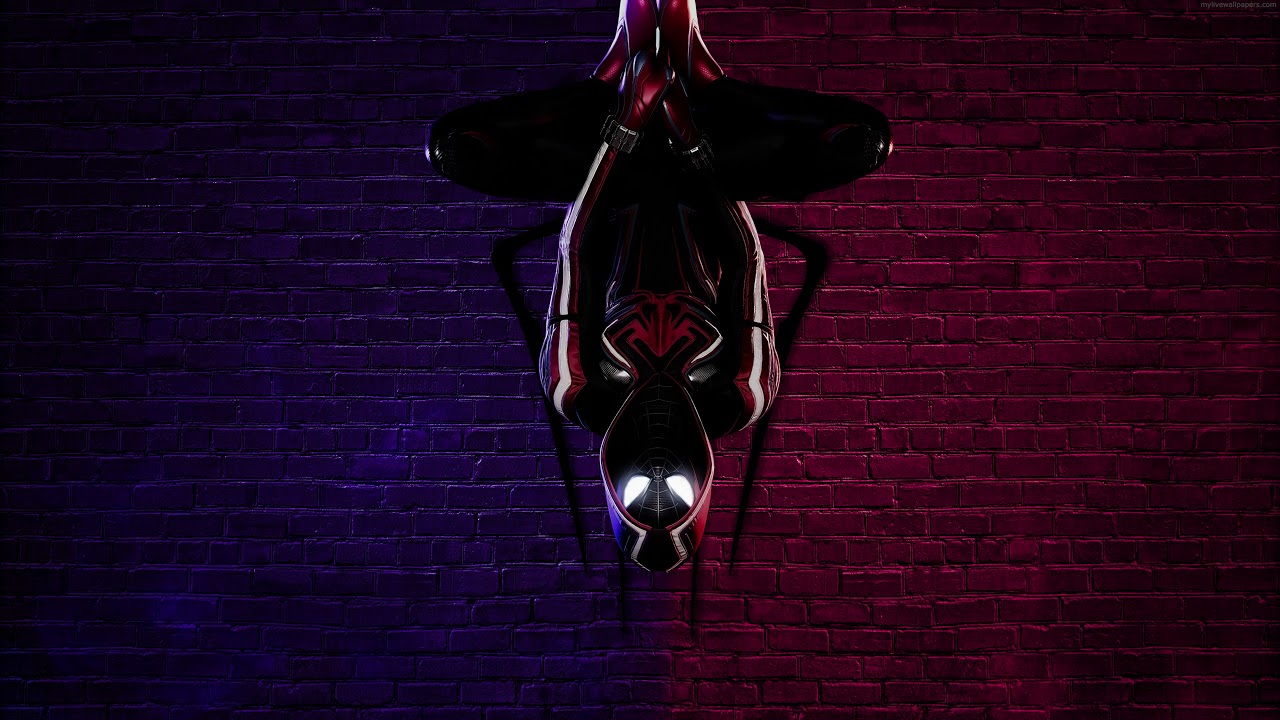Spider Man Hanging Wallpapers - Wallpaper Cave