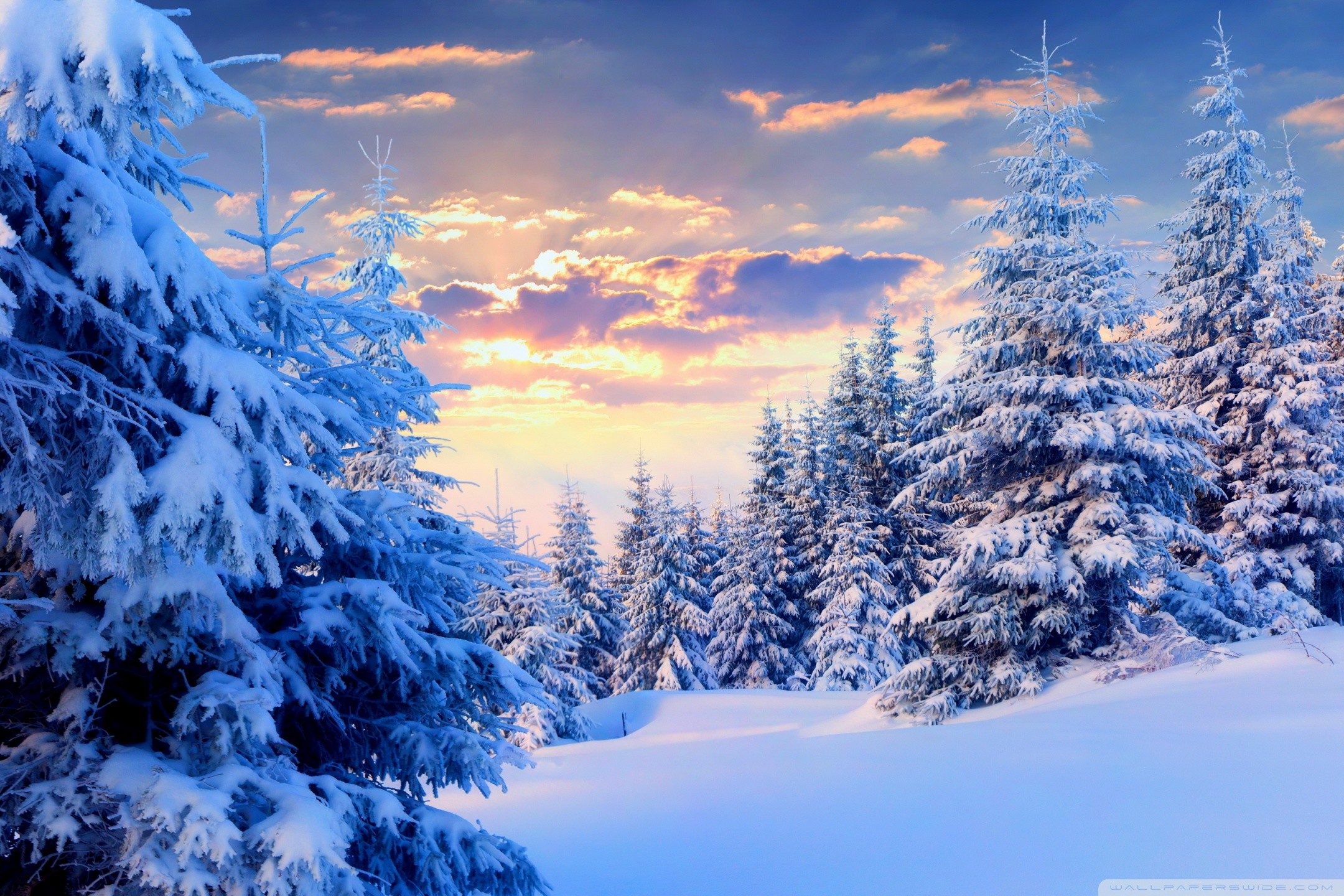 2160x1440 Winter Wallpapers - Wallpaper Cave